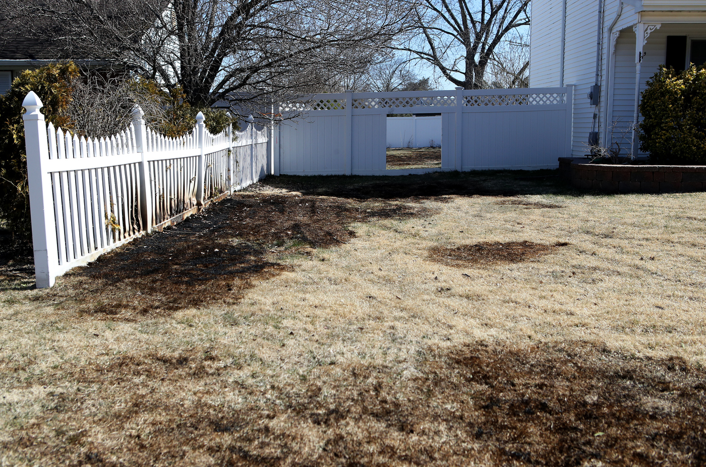 Damage from large brush fire in Brick and Lakewood, March 15, 2021 - nj.com