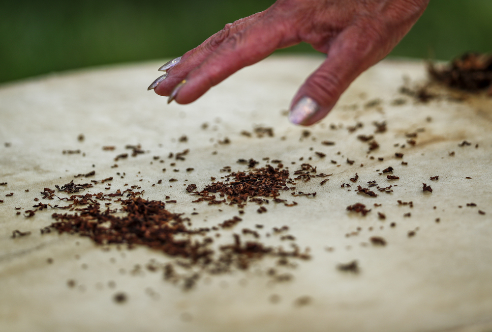 2022 Roasting Ears of Corn Festival - lehighvalleylive.com