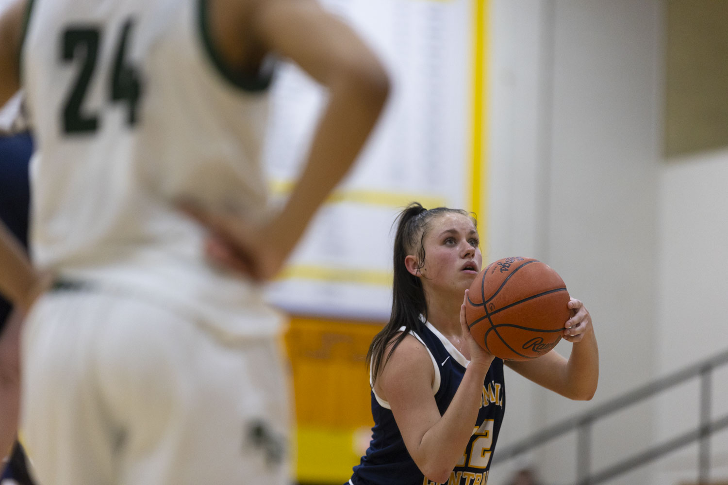 See photos as Arbor Prep defeats Columbia Central in Division 3 ...