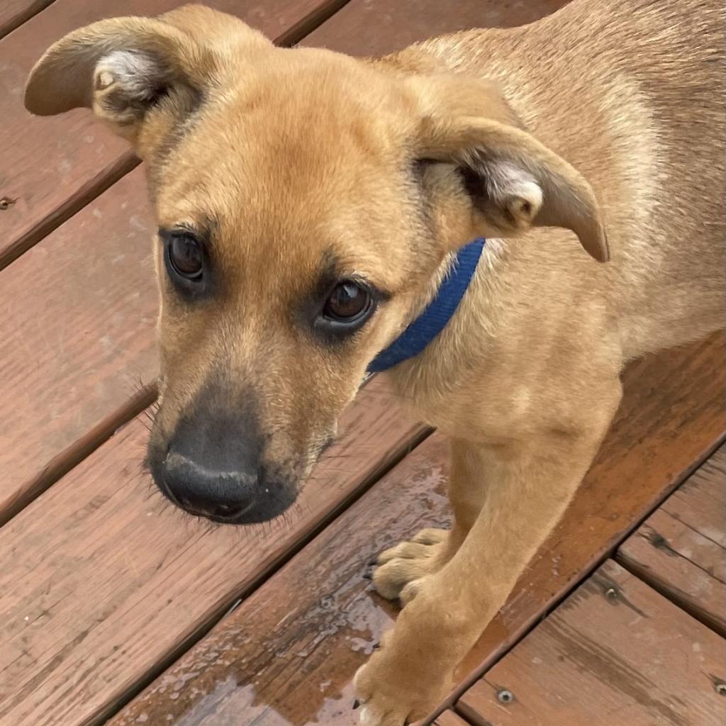 Spotlight on those hanging for too long. - silive.com