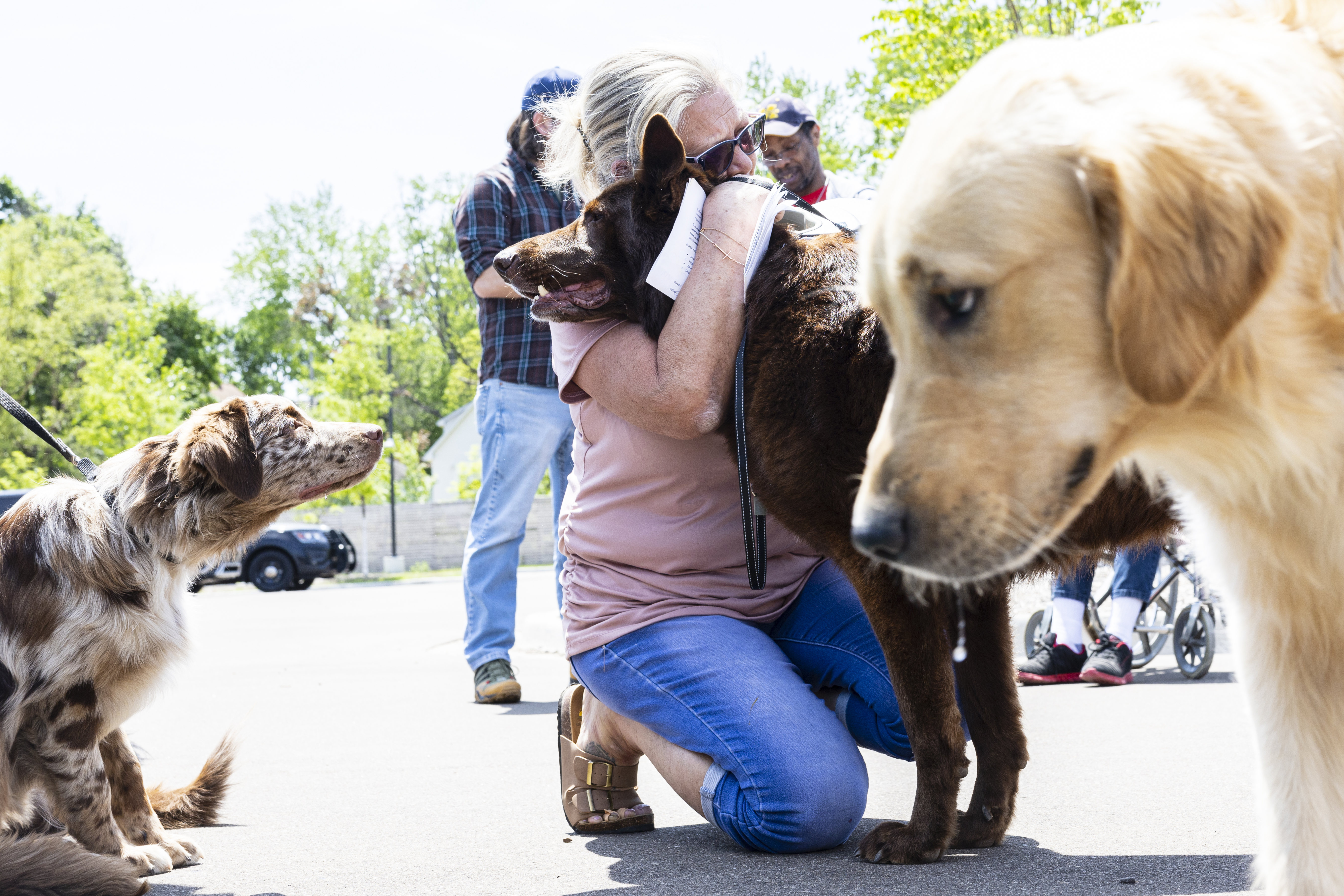 Free vaccine clinic for dogs and cats in Kalamazoo - mlive.com