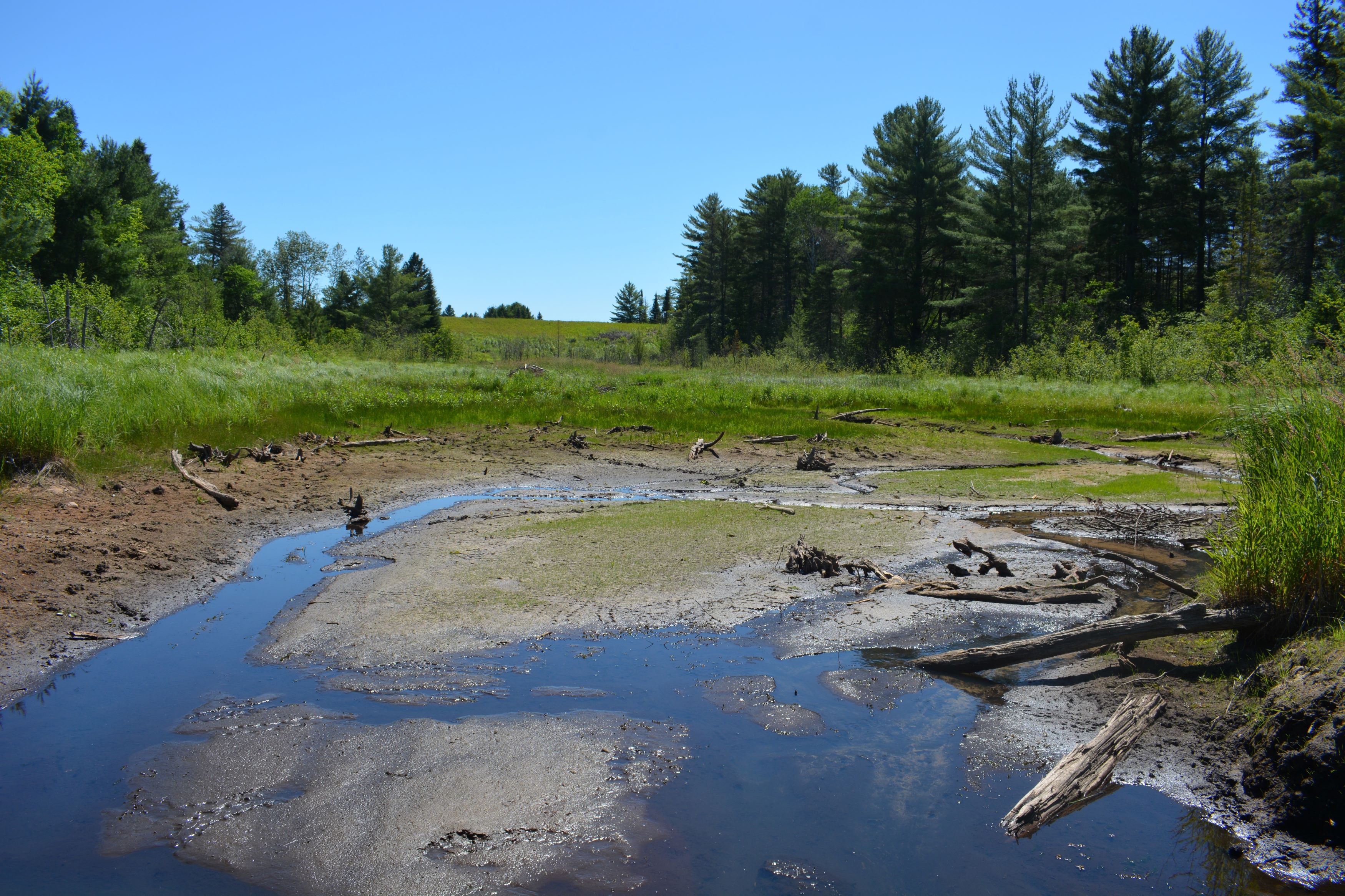 Cornwall Creek Flooding may be saved - mlive.com
