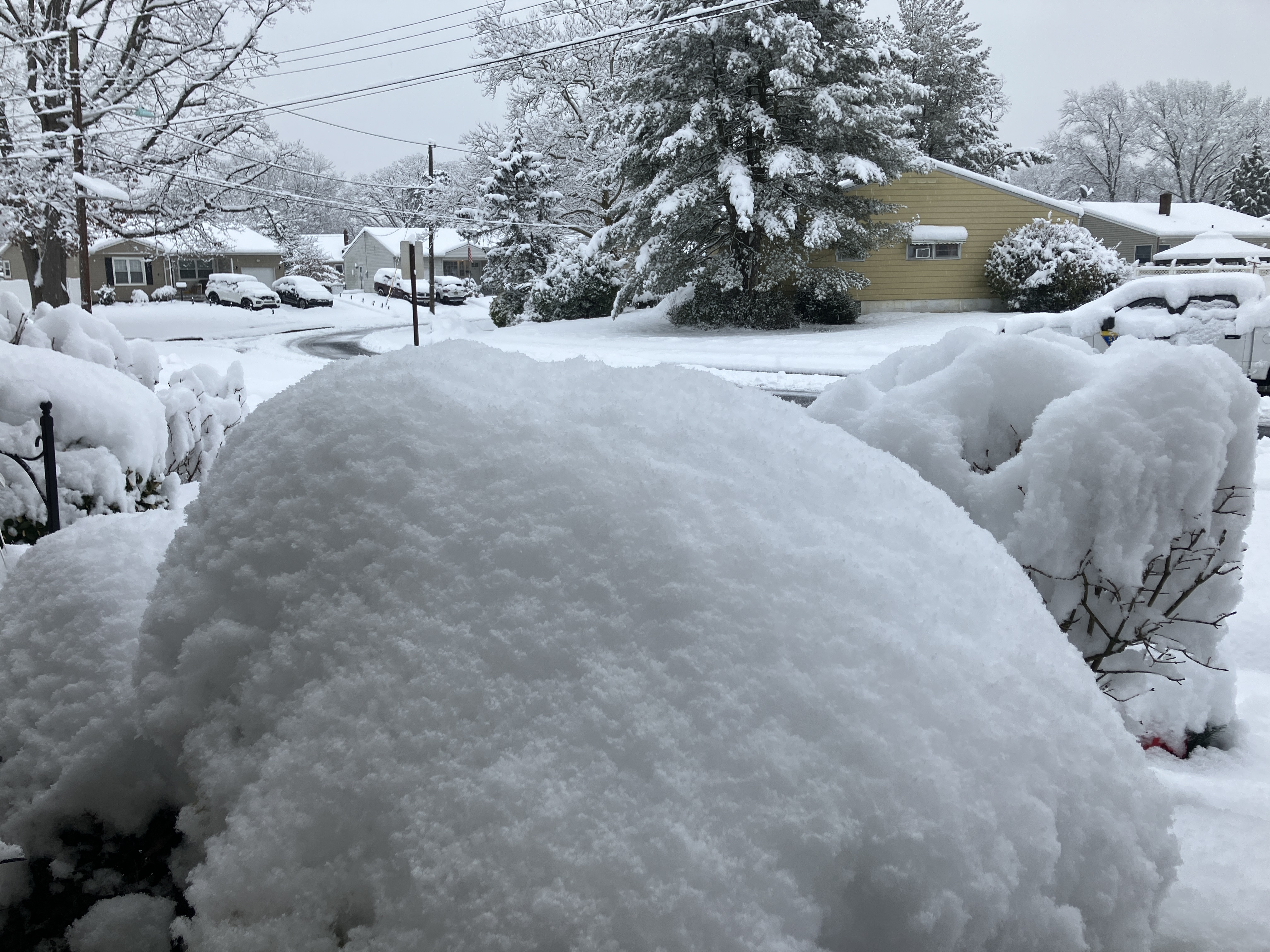 Snowstorm hits Central New Jersey - nj.com