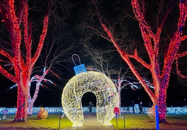 Wild Lights at the Detroit Zoo 2021 - mlive.com