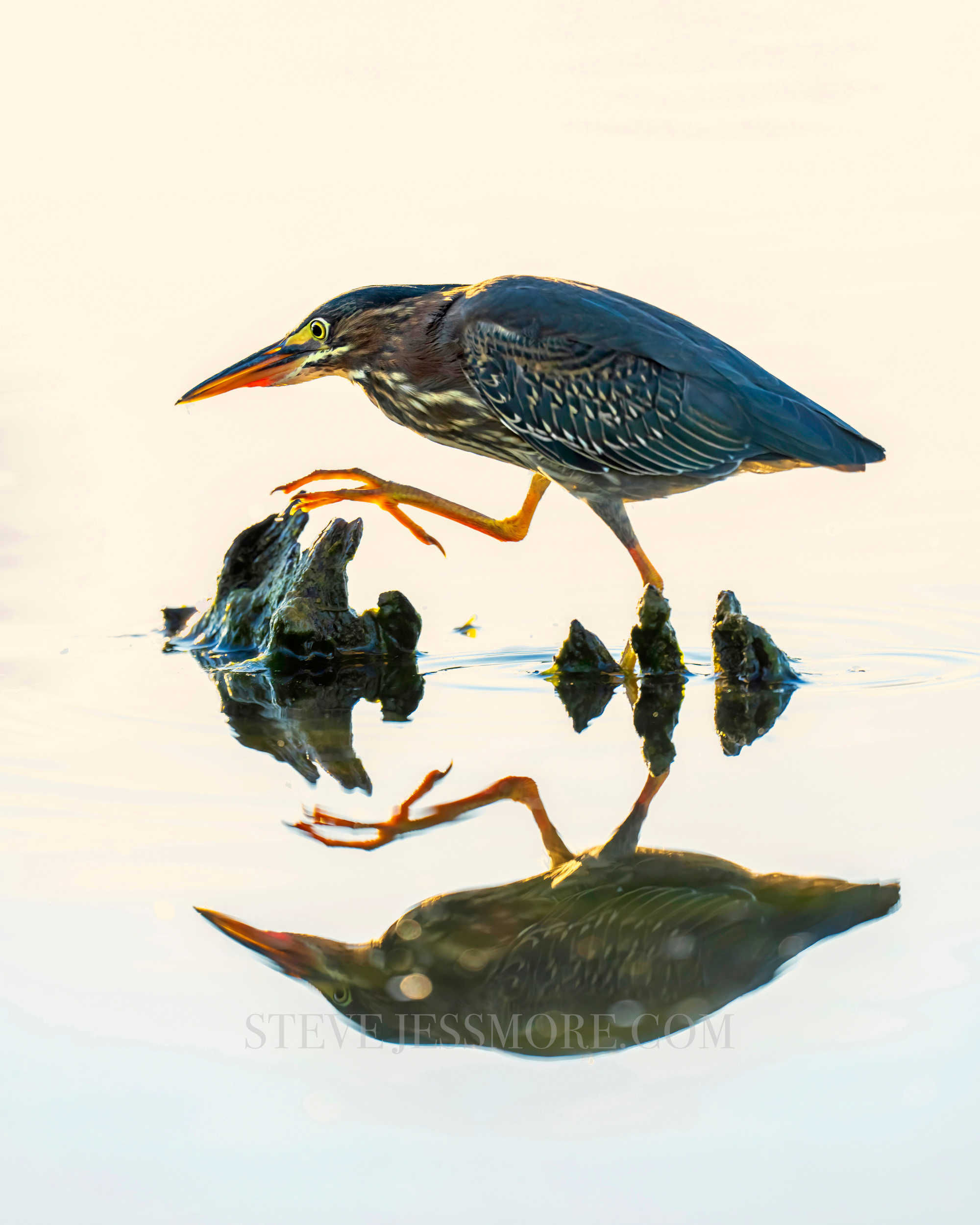 Steve Jessmore and The Reeds Lake Project - mlive.com