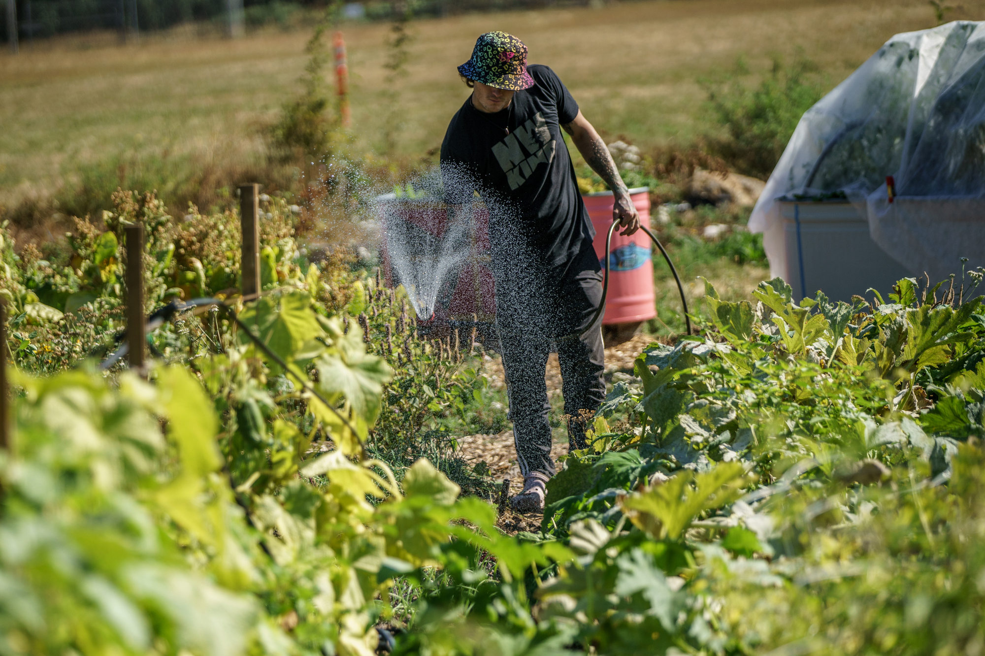 Native American Youth and Family Center's community garden - oregonlive.com