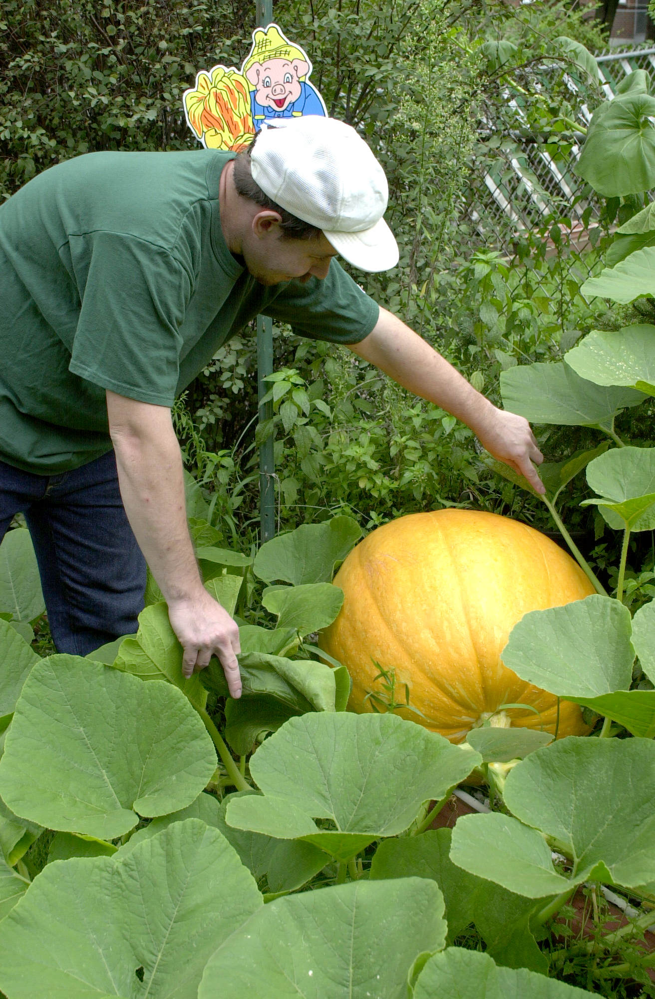 Staten Island pumpkin fun | Then and now - silive.com