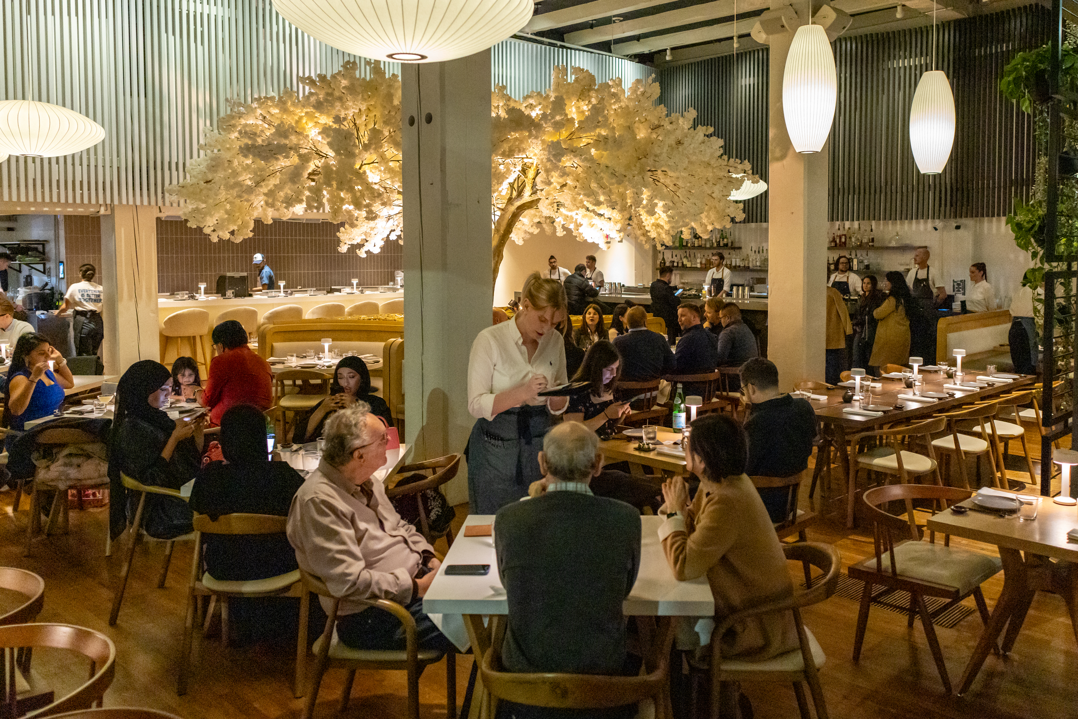 Janken restaurant in Portland's Pearl District - oregonlive.com