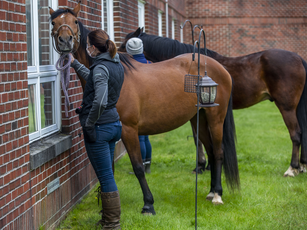 Horses and service dogs visit residents of The Middletown Home ...
