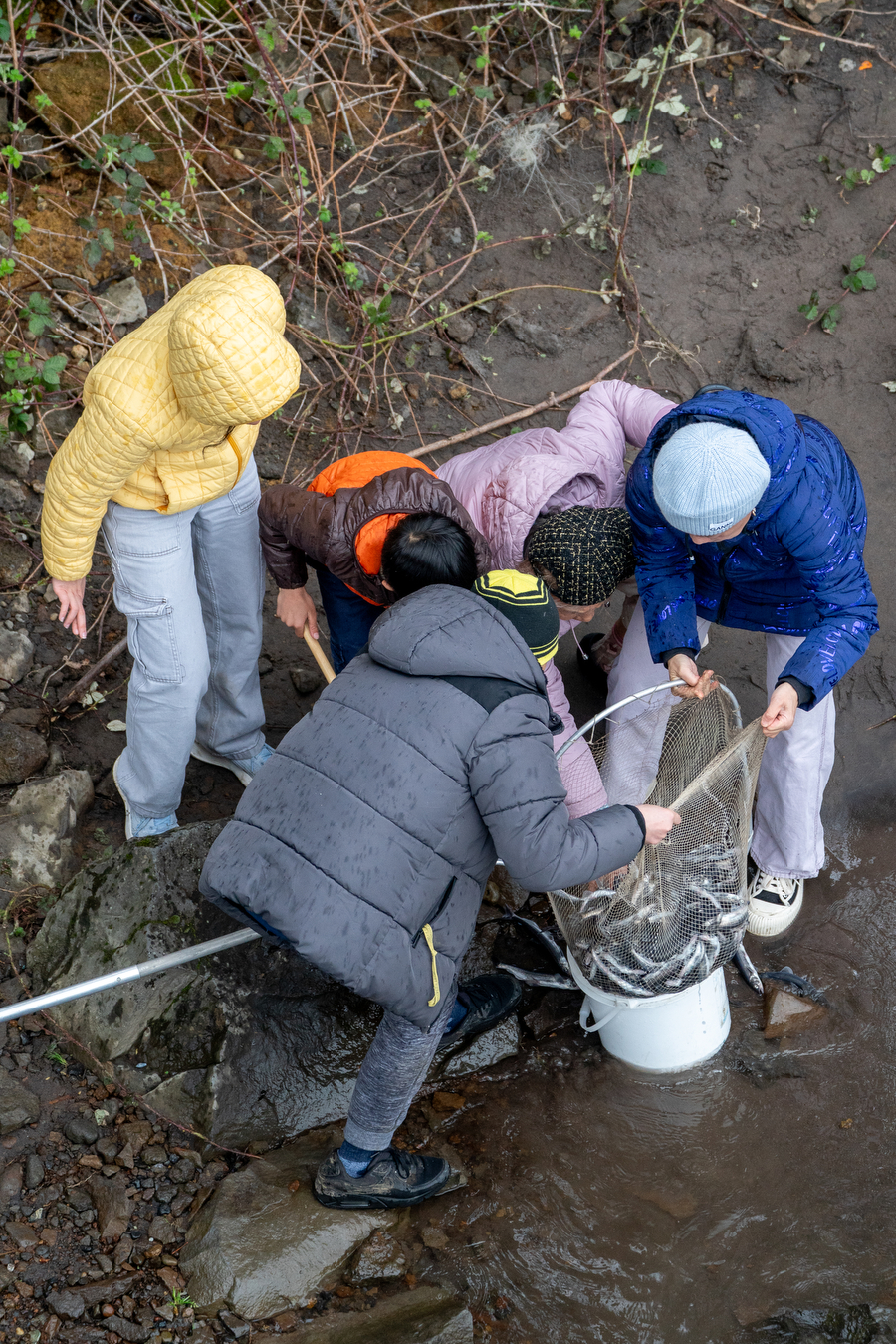 Sandy River smelt run 2025 - oregonlive.com