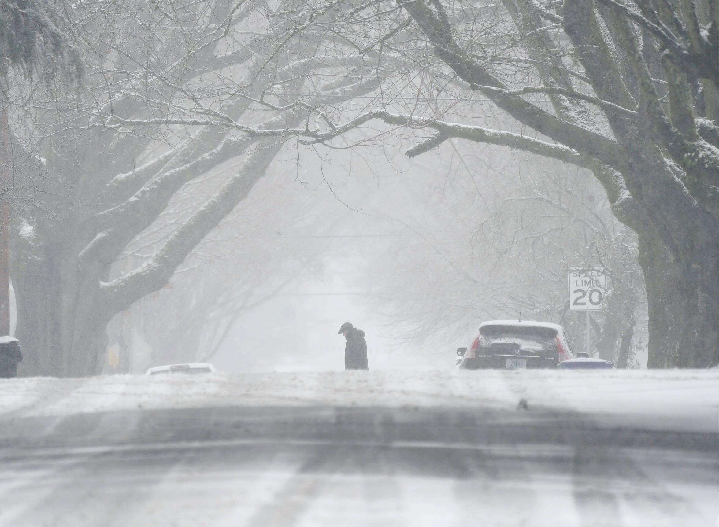 Portland snow - Feb. 22, 2023 - oregonlive.com