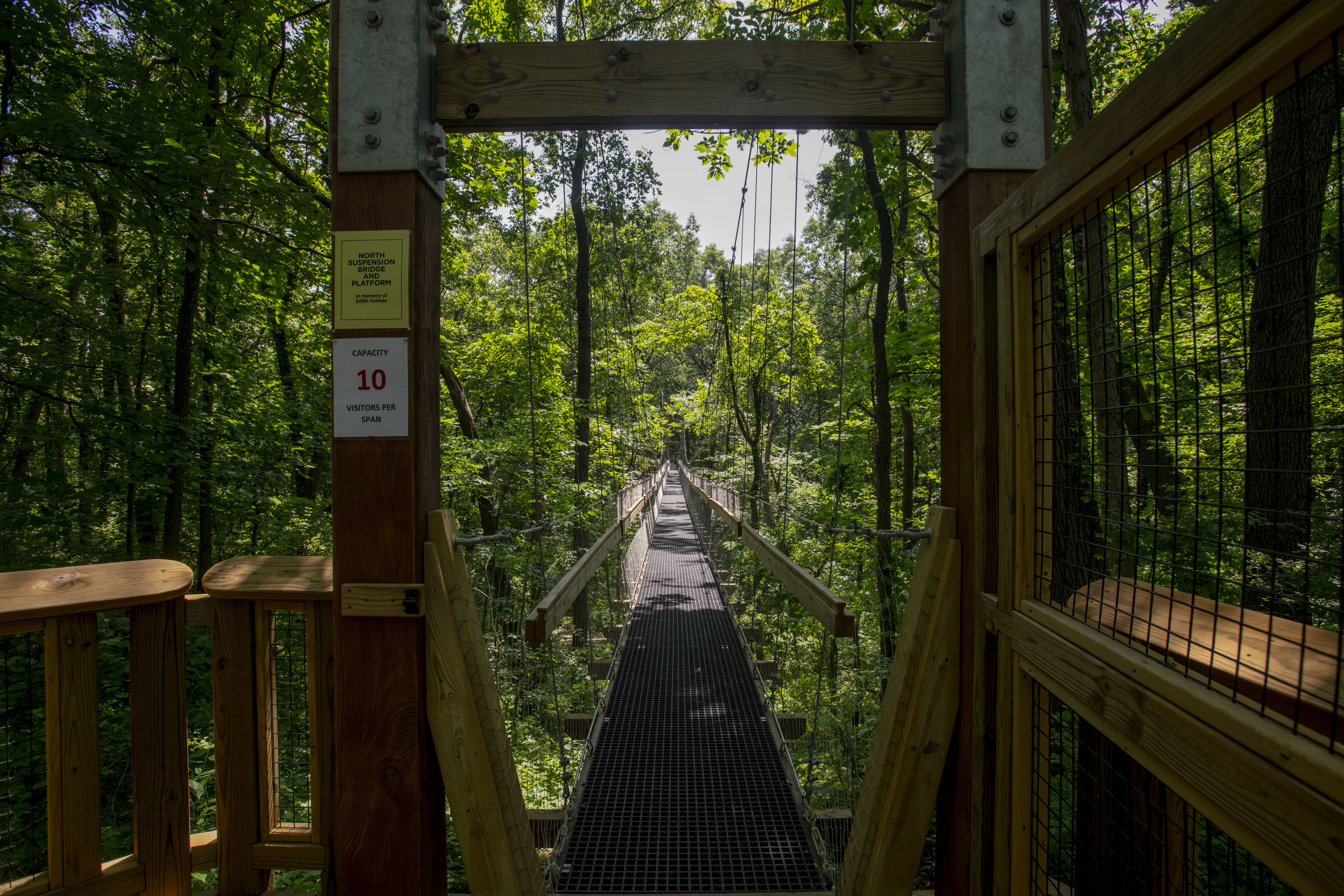 Sky Canopy Walk opens at MSU’s Hidden Lake Gardens - mlive.com