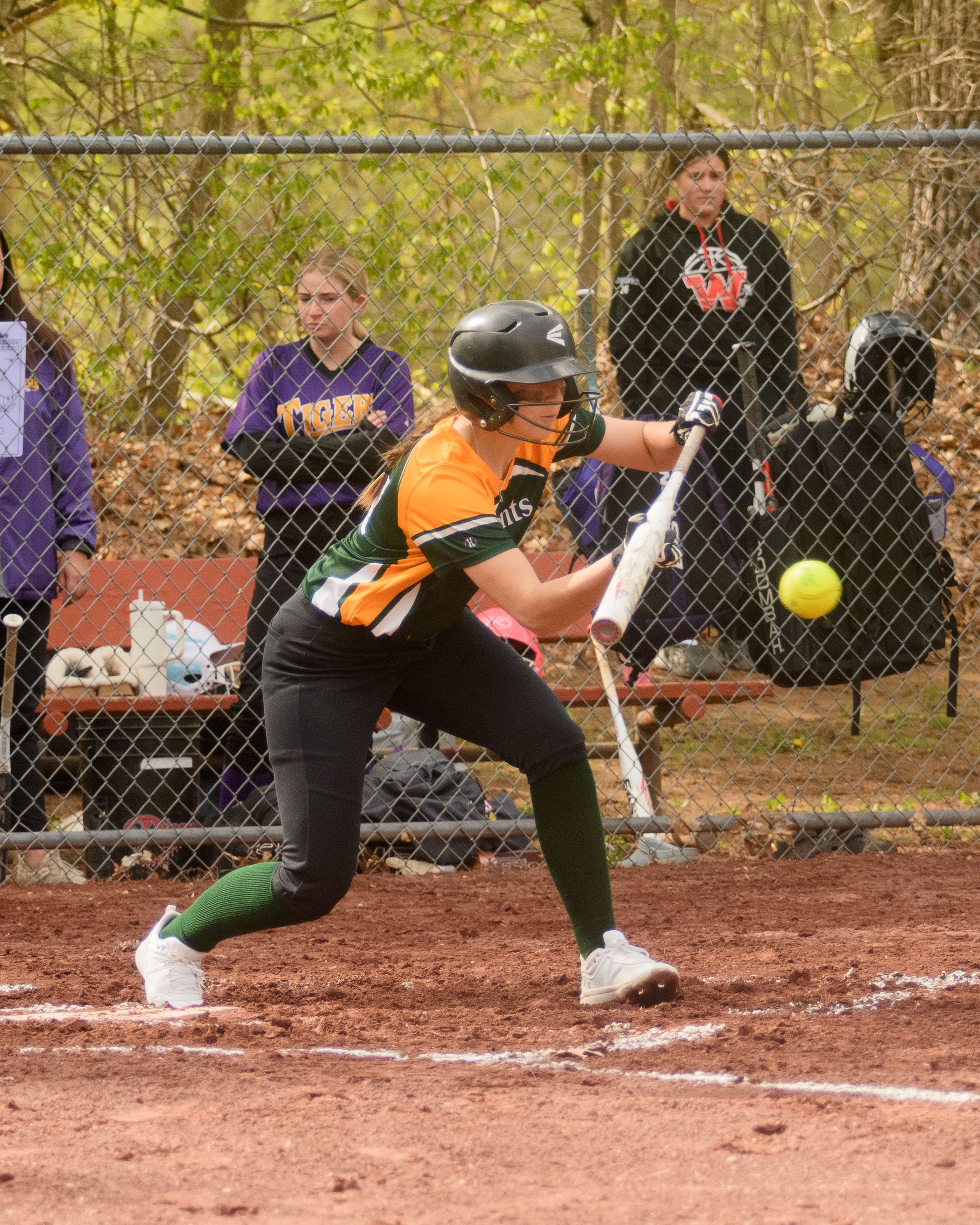 Westfield Tech vs St. Mary's High Softball - masslive.com