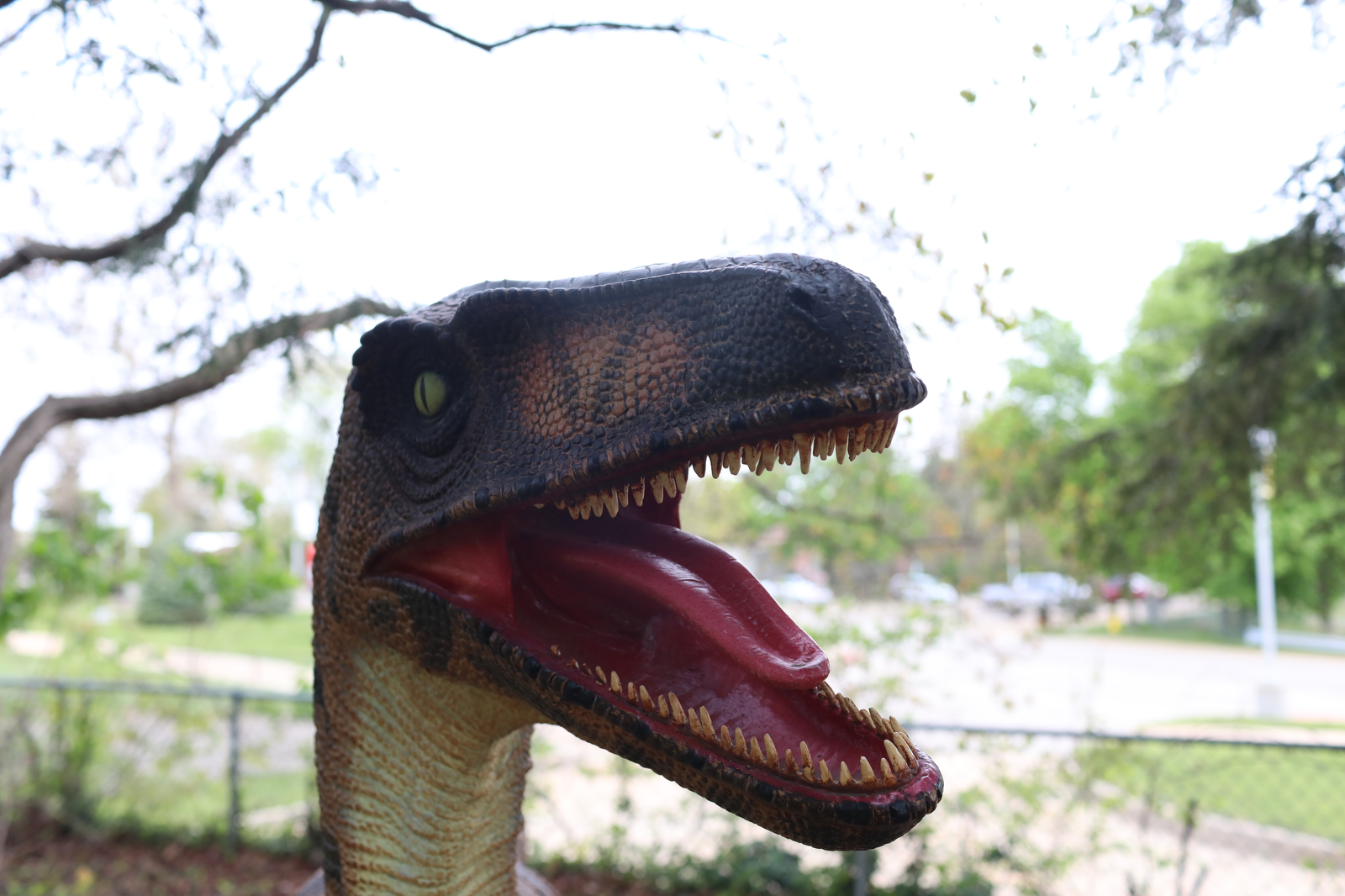 'Dino Park' in Kalamazoo - mlive.com