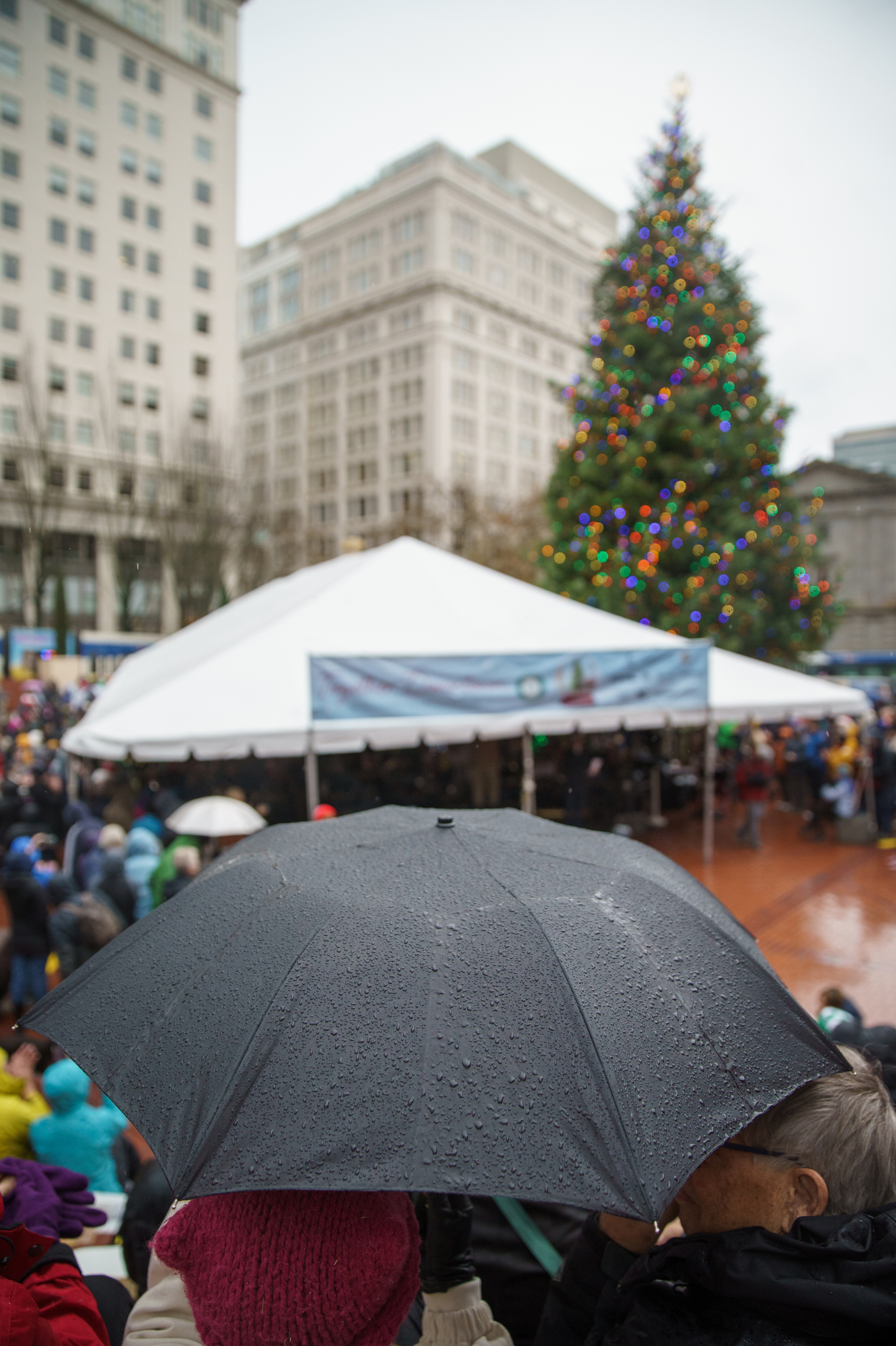 31st Portland Tuba Christmas 2022 - oregonlive.com