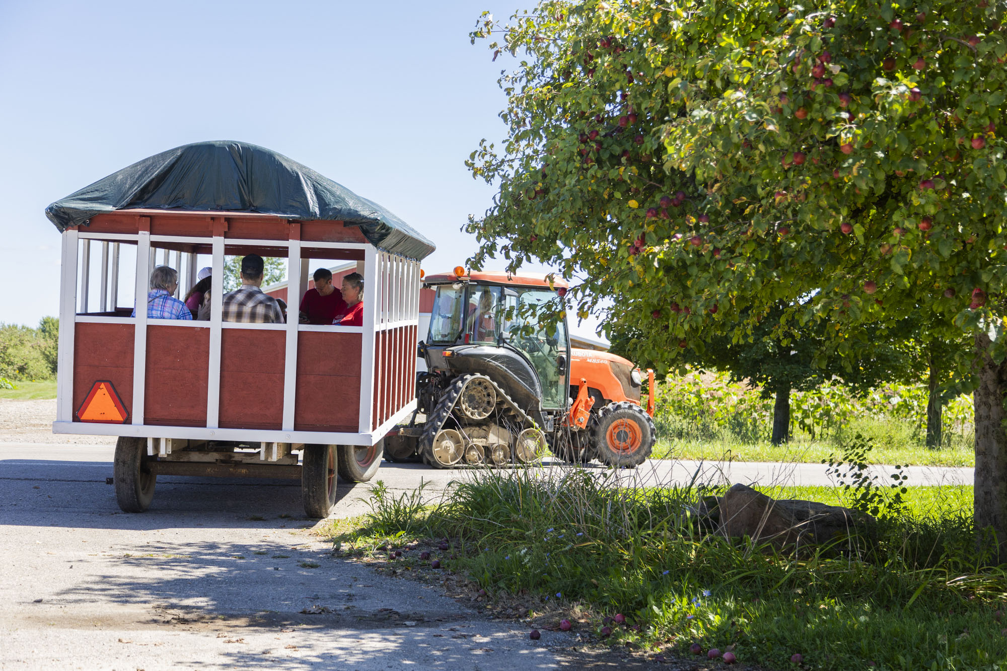 U-Pick ‘Holiday’ at Genesee County orchard draws apple lovers - mlive.com