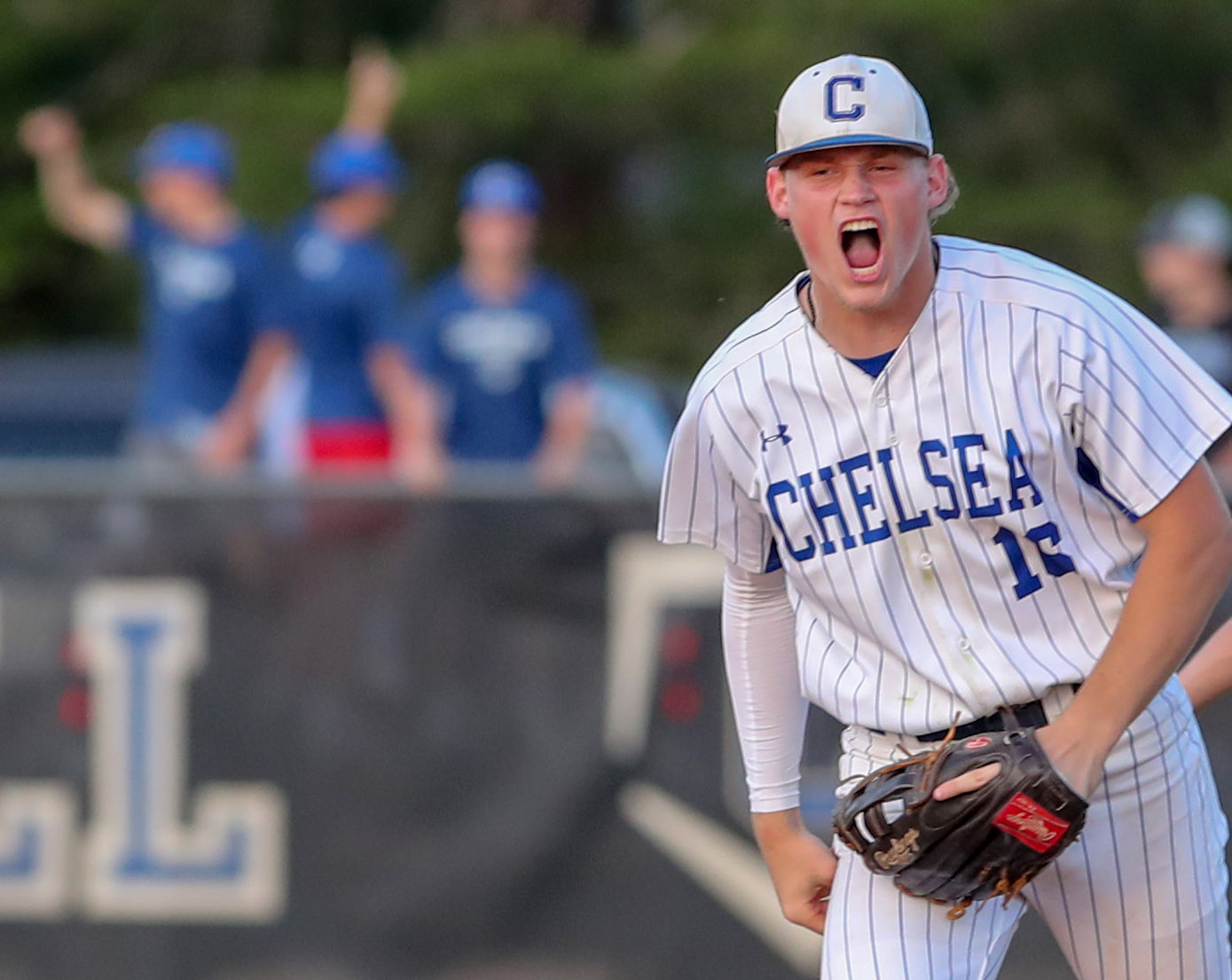 2020 Birmingham Region Terrific 20 baseball - al.com