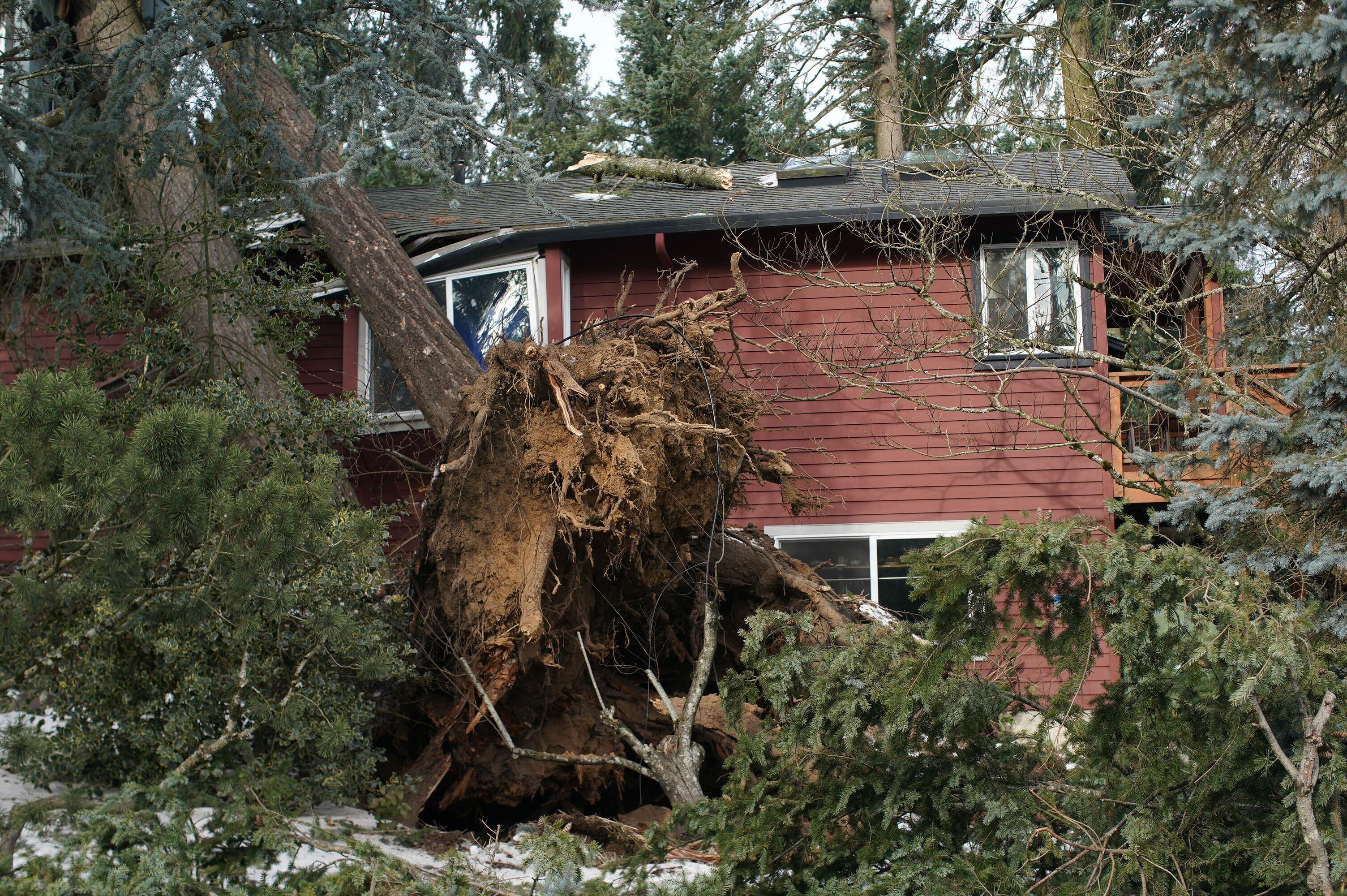 Oregon Winter Storm Day 5 January 2024 - oregonlive.com
