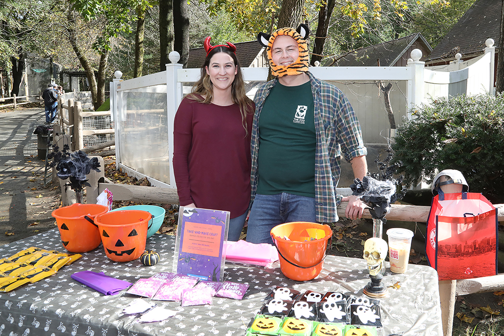 The Spooky Safari at the Zoo in Forest Park - masslive.com