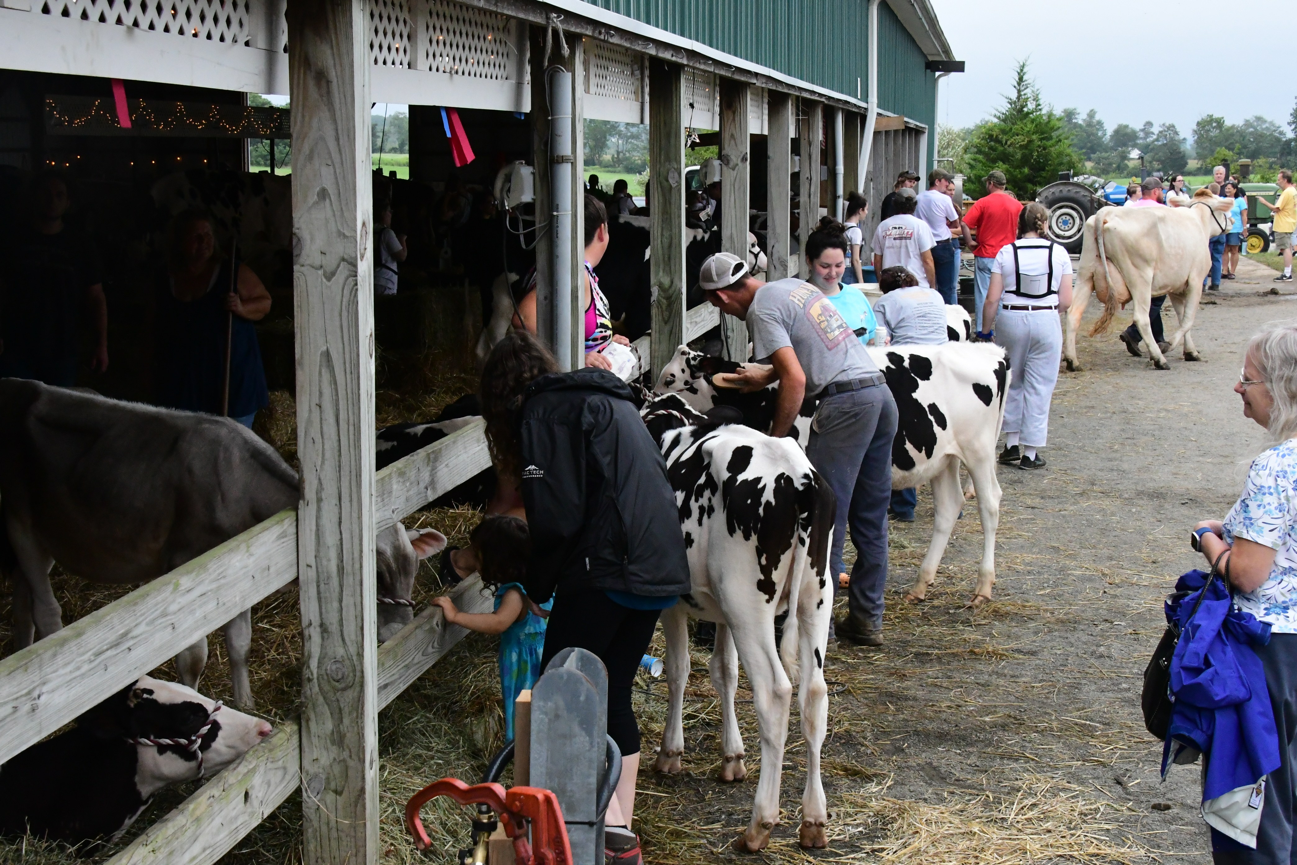 Hunterdon County 4-H & Agricultural Fair - nj.com