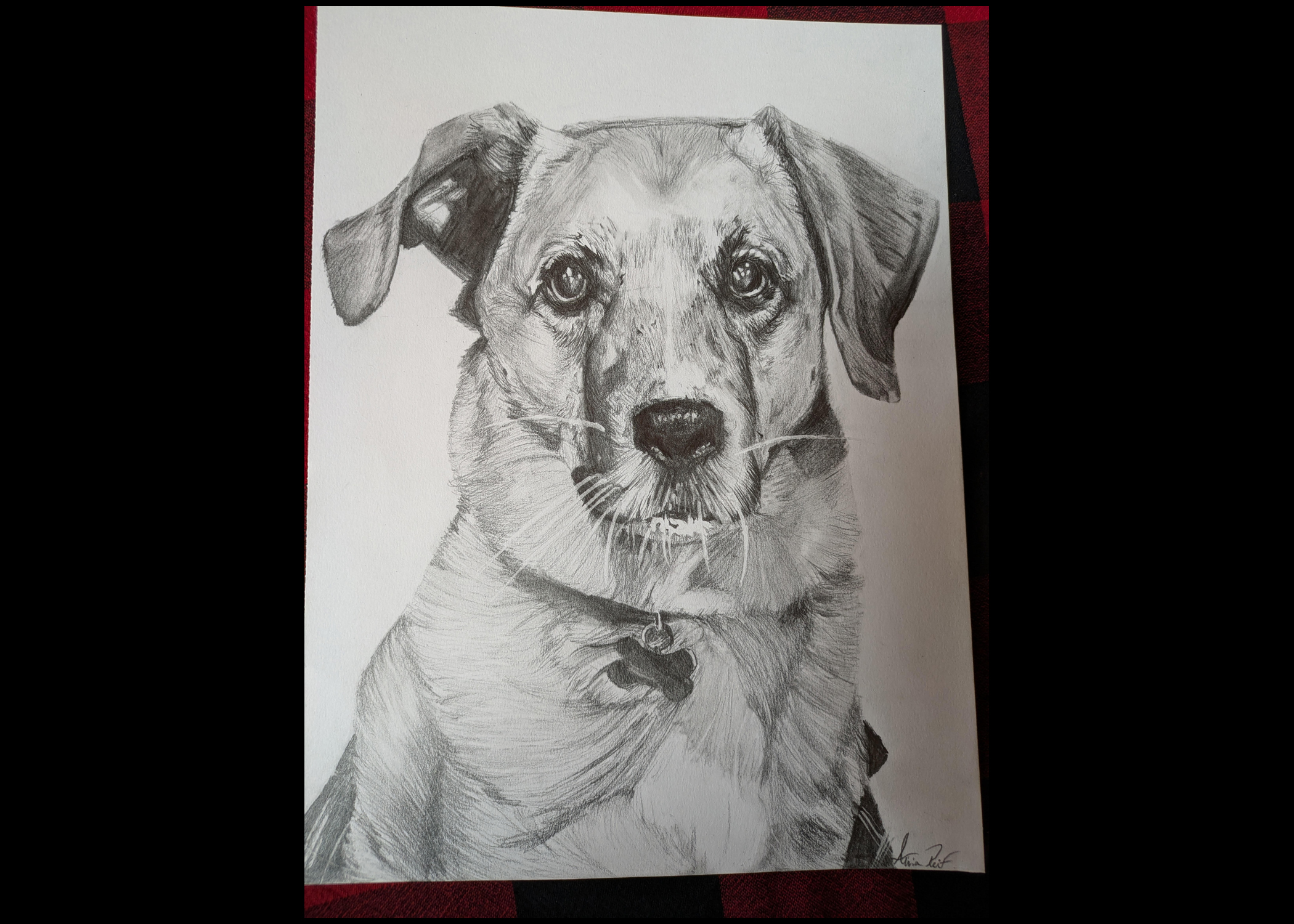 2025 CNY Scholastic Art Awards: Drawing & Illustration - syracuse.com