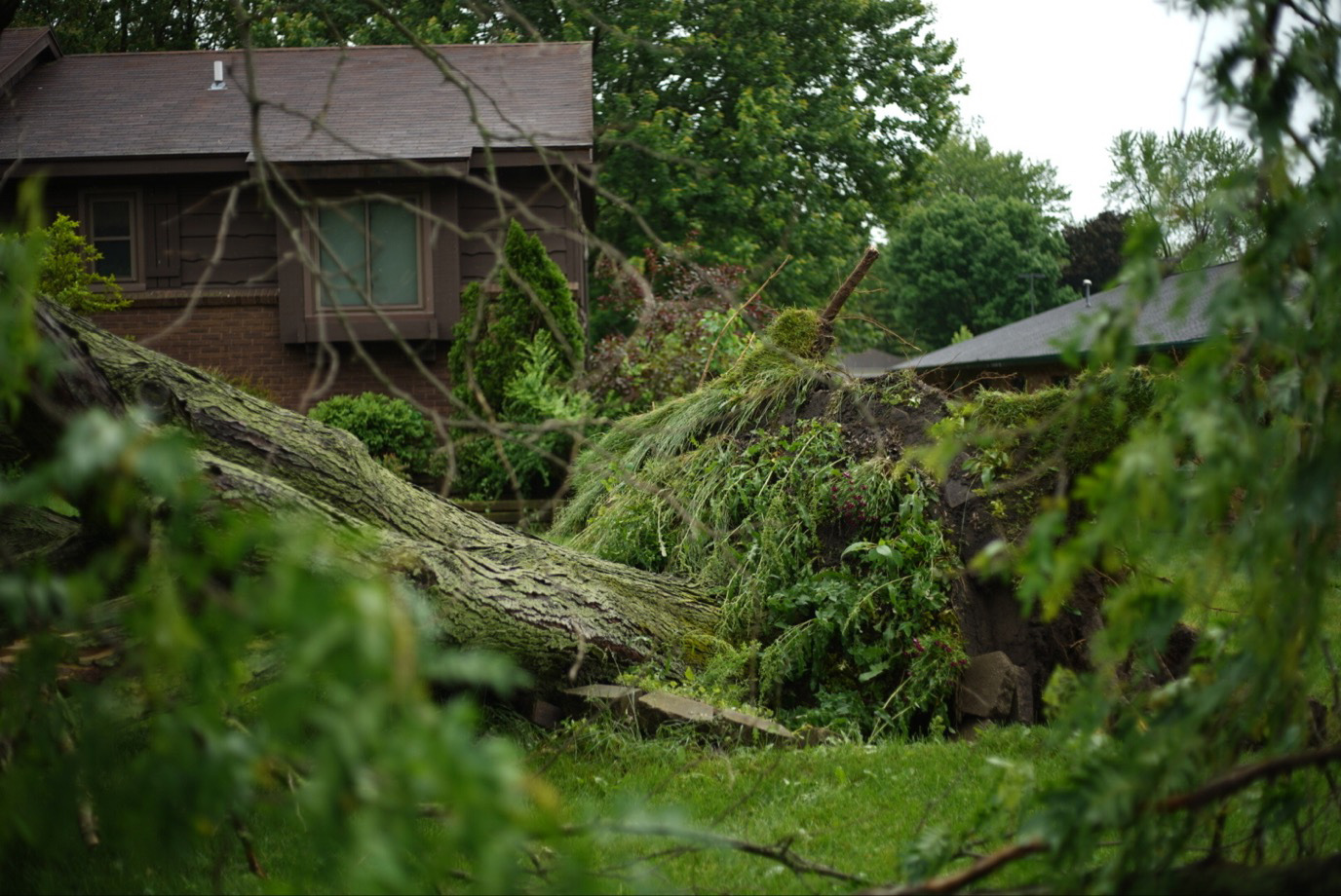 West Michigan storm damage - June 10, 2020 - mlive.com