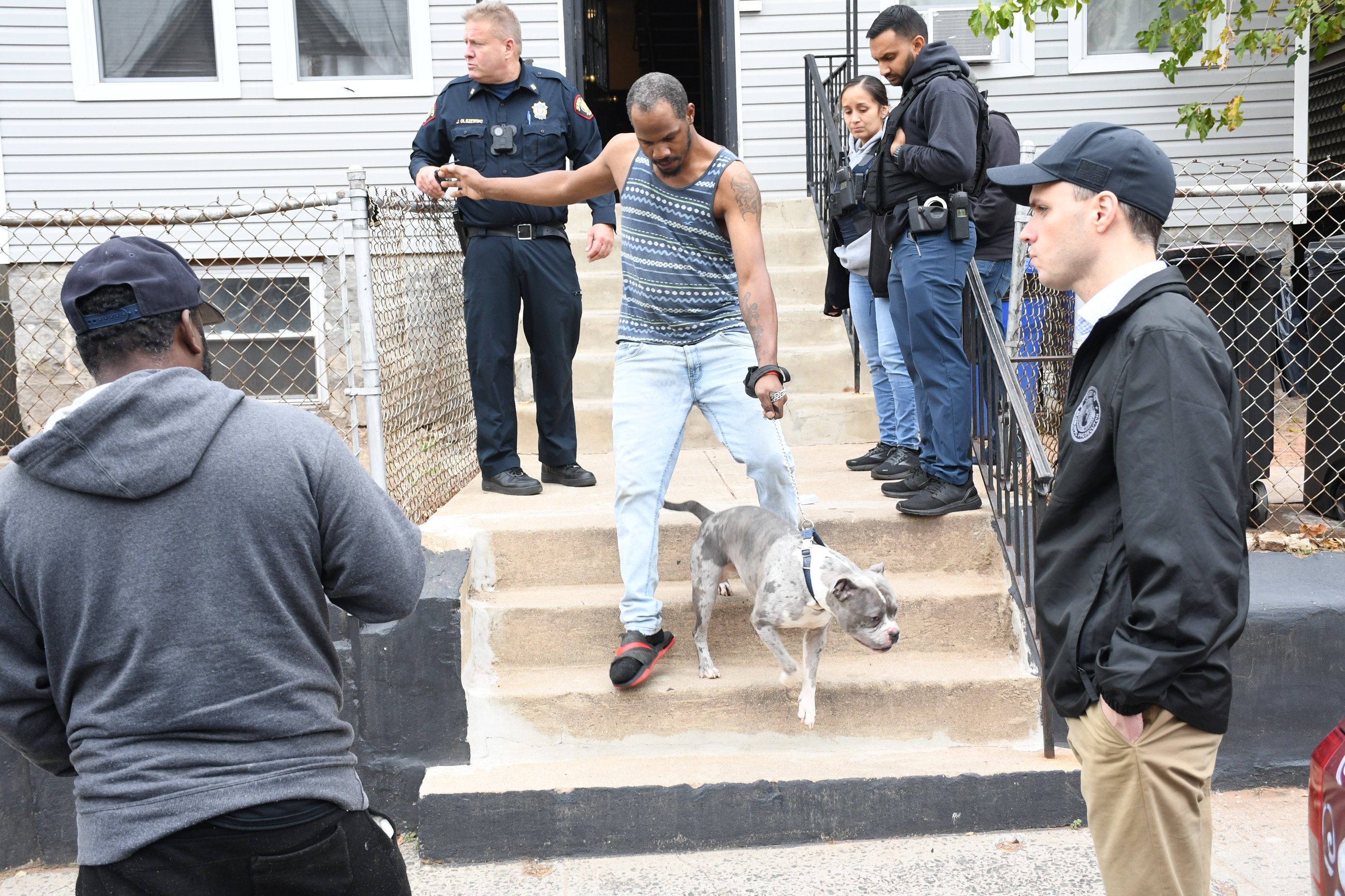 Authorities seize dogs, lizards from Jersey City home described as an ...