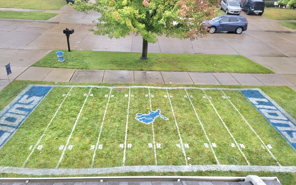 Detroit Lions fan creates Ford Field lawn in his front yard - mlive.com