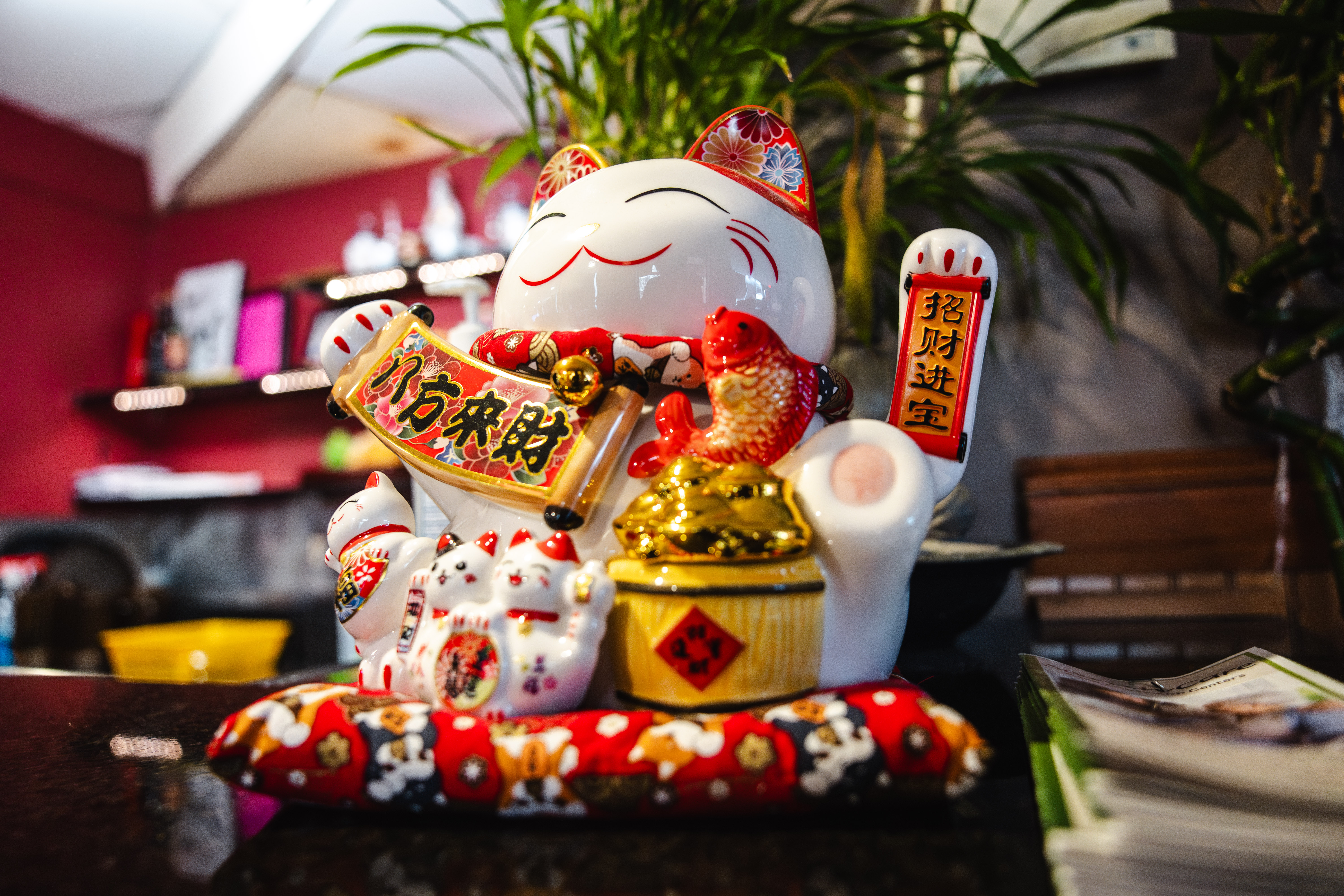 Bamboo House in Springfield - masslive.com