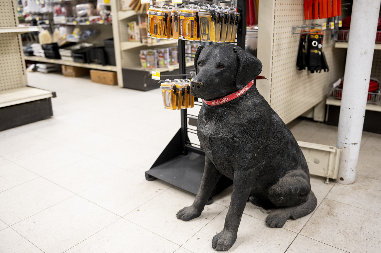 Stadium Hardware, Ann Arbor’s independently-owned hardware store, going ...