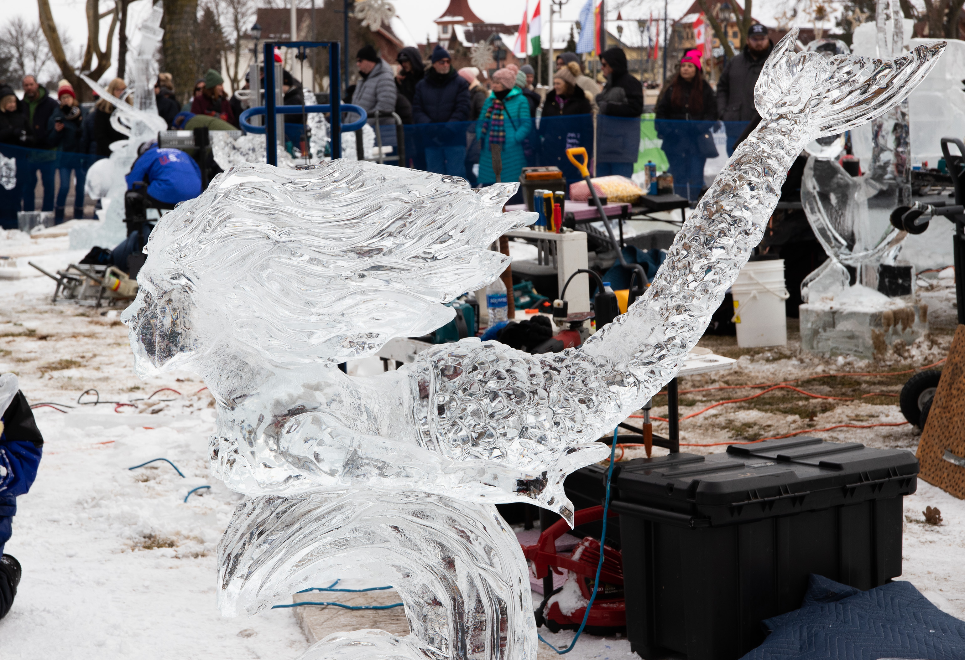 Snowfest 2023 - mlive.com