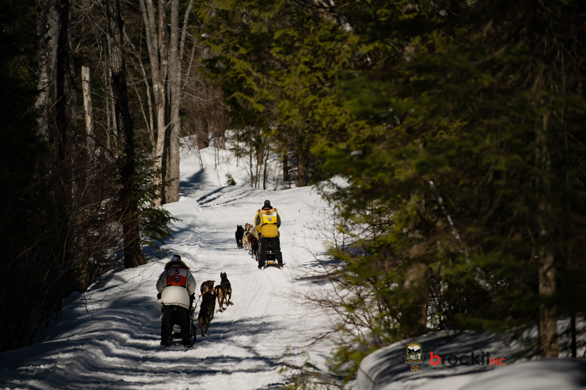 2023 CopperDog 150 sled dog race in Michigan's U.P. - mlive.com