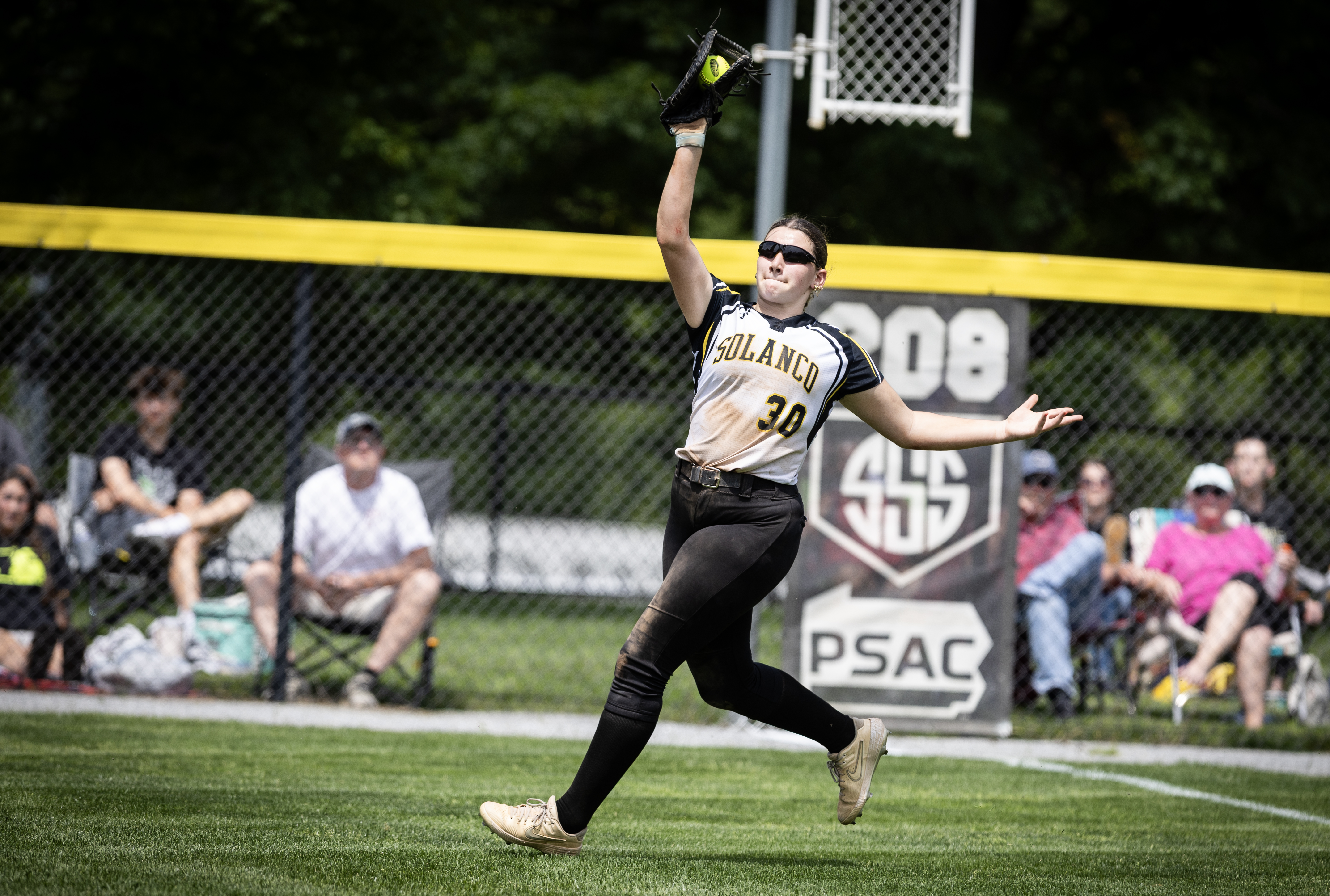 Red Land vs Solanco in the District 3 5A softball final - pennlive.com