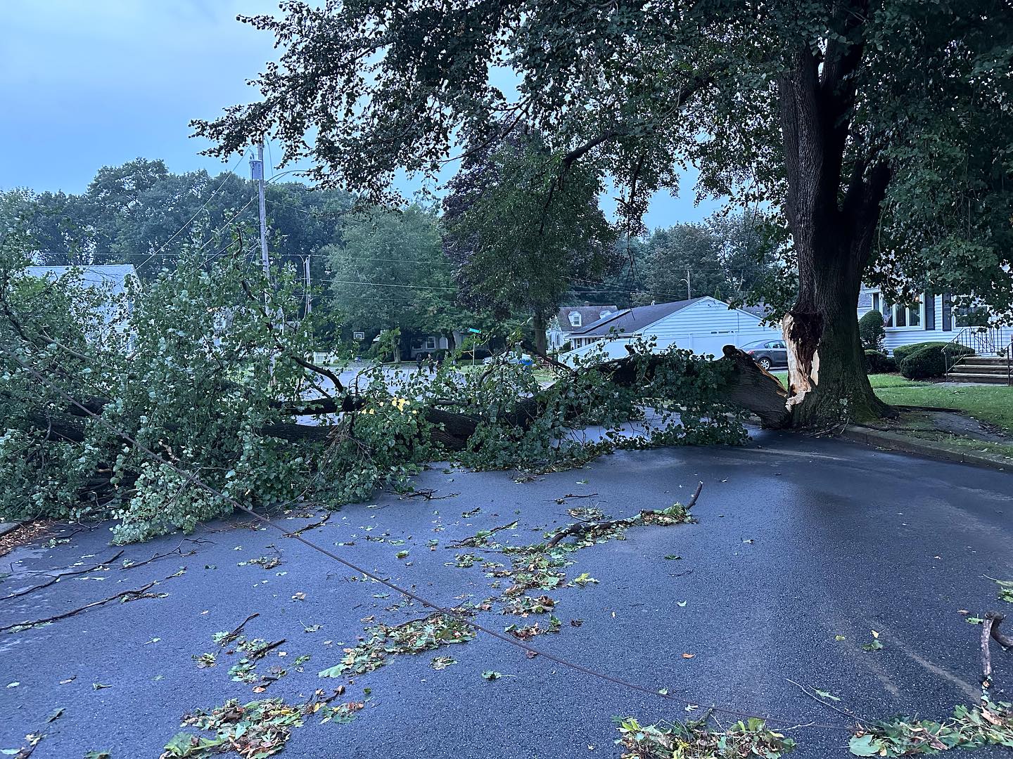 Thunderstorms leave damage across Massachusetts on Friday - masslive.com