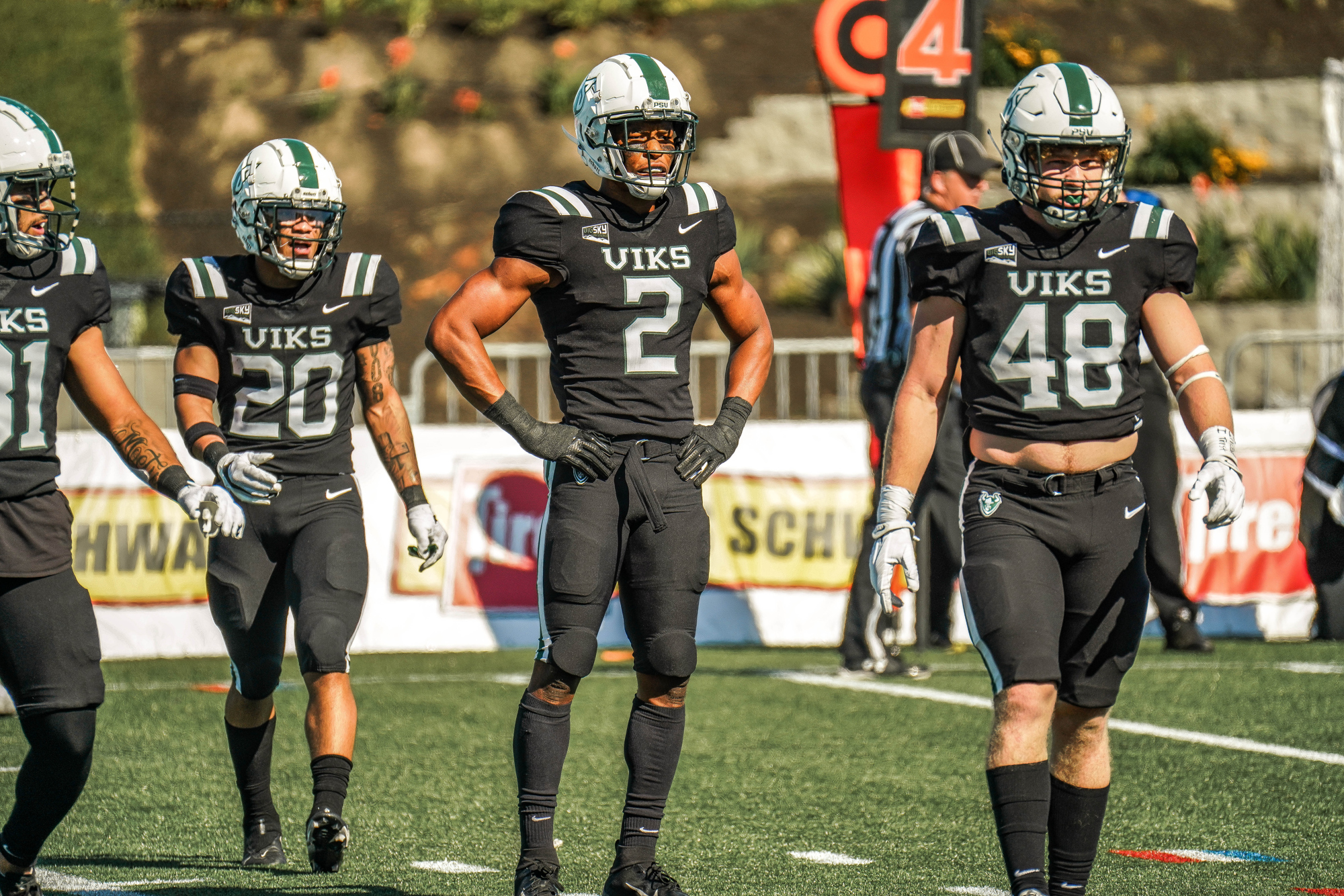 Portland State Vikings football vs. Montana State Bobcats - oregonlive.com