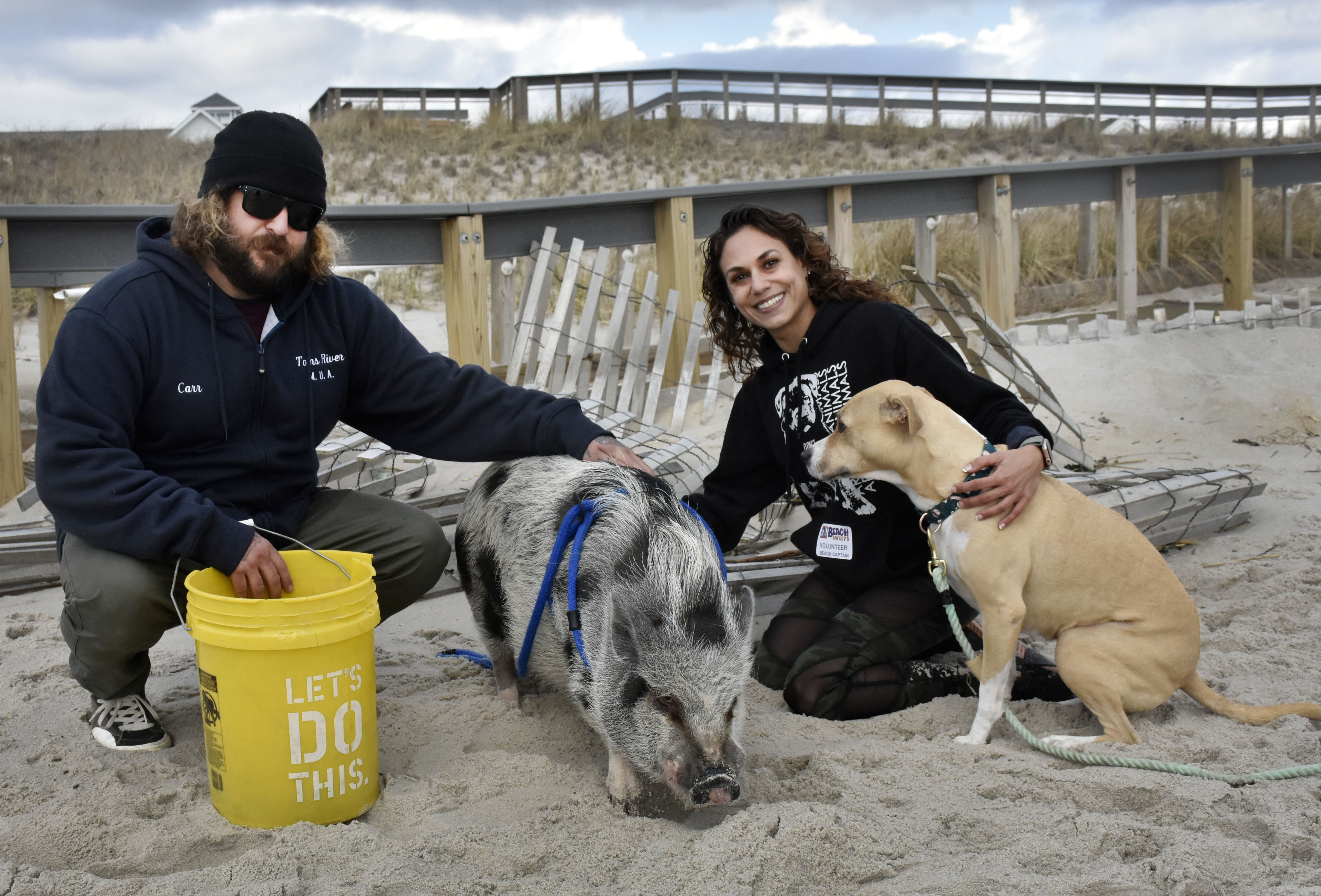 Mini Pig Hamlette Helps with Clean Ocean Action Beach Sweeps Cleanup ...