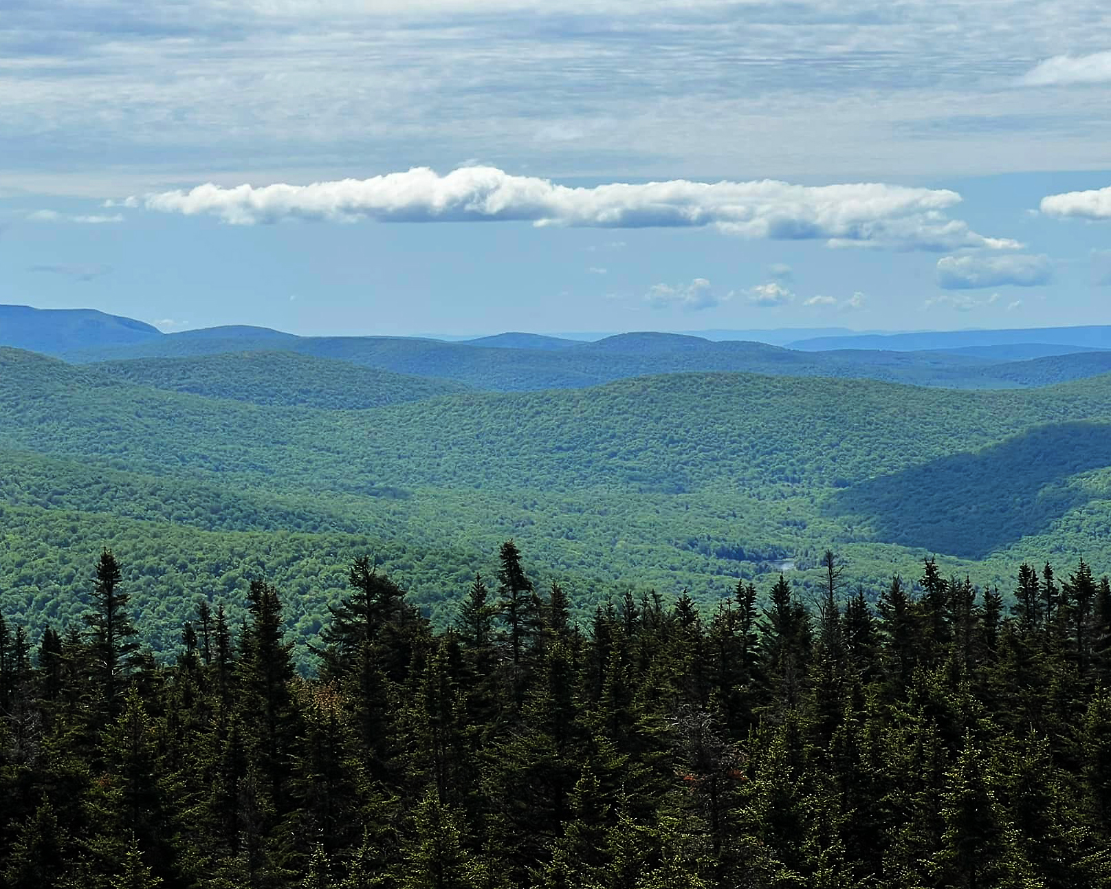 David Dietz completes popular Fire Tower Challenge in 26 days ...