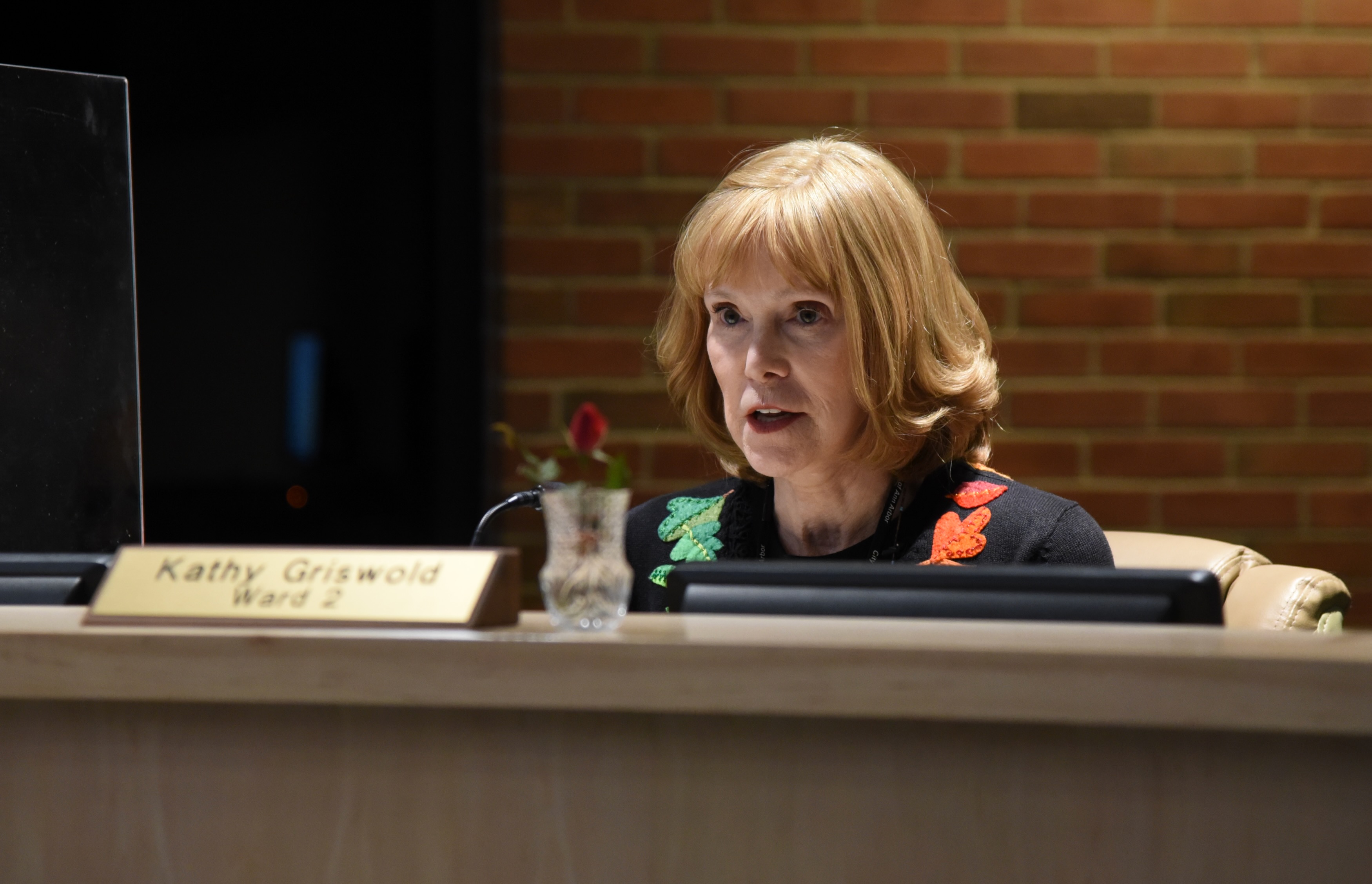 Ann Arbor City Council meeting Nov. 10, 2022 - mlive.com