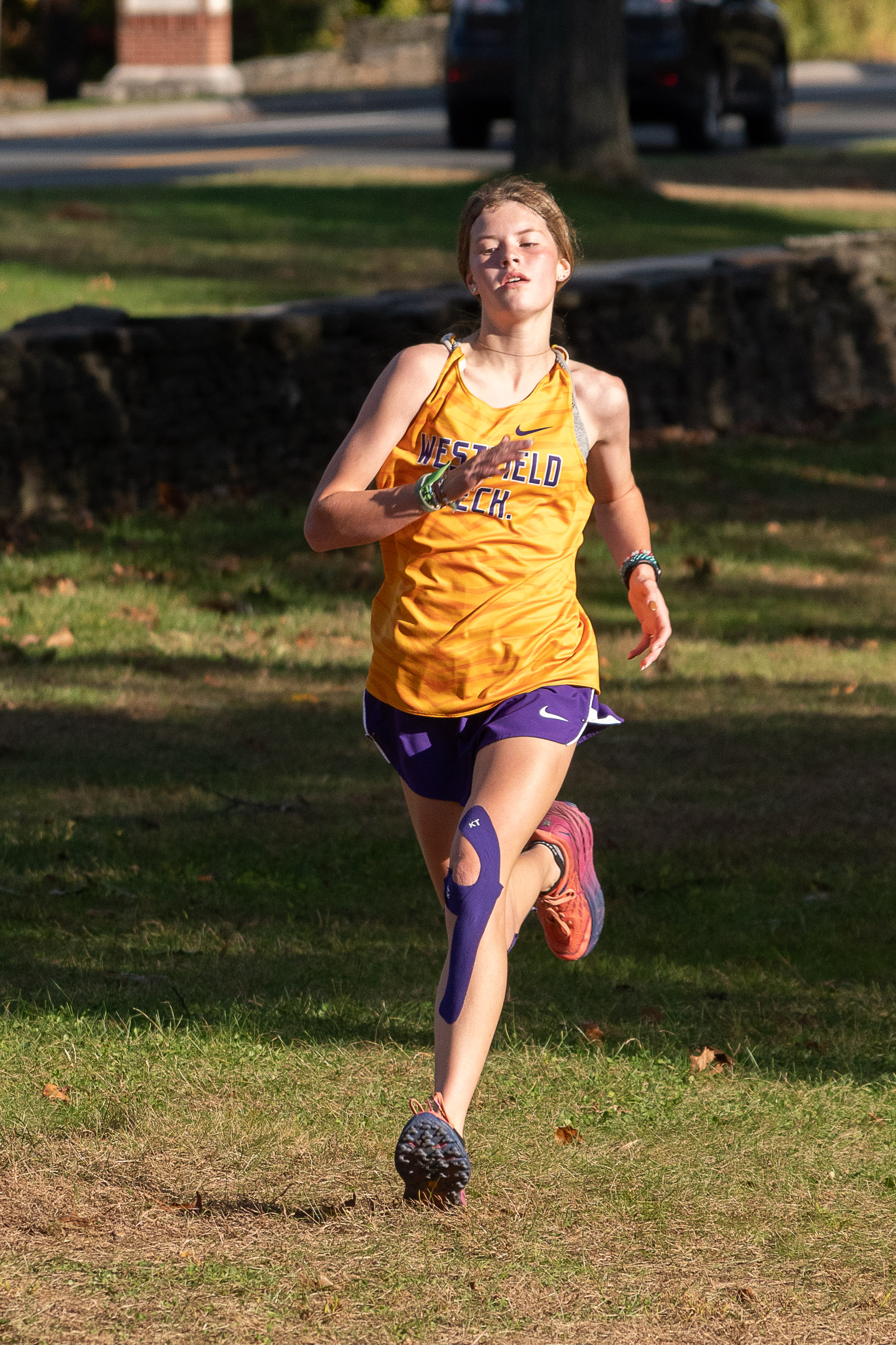 10-24-23 Westfield Cross-Country Tri-Meet in Stanley Park - masslive.com