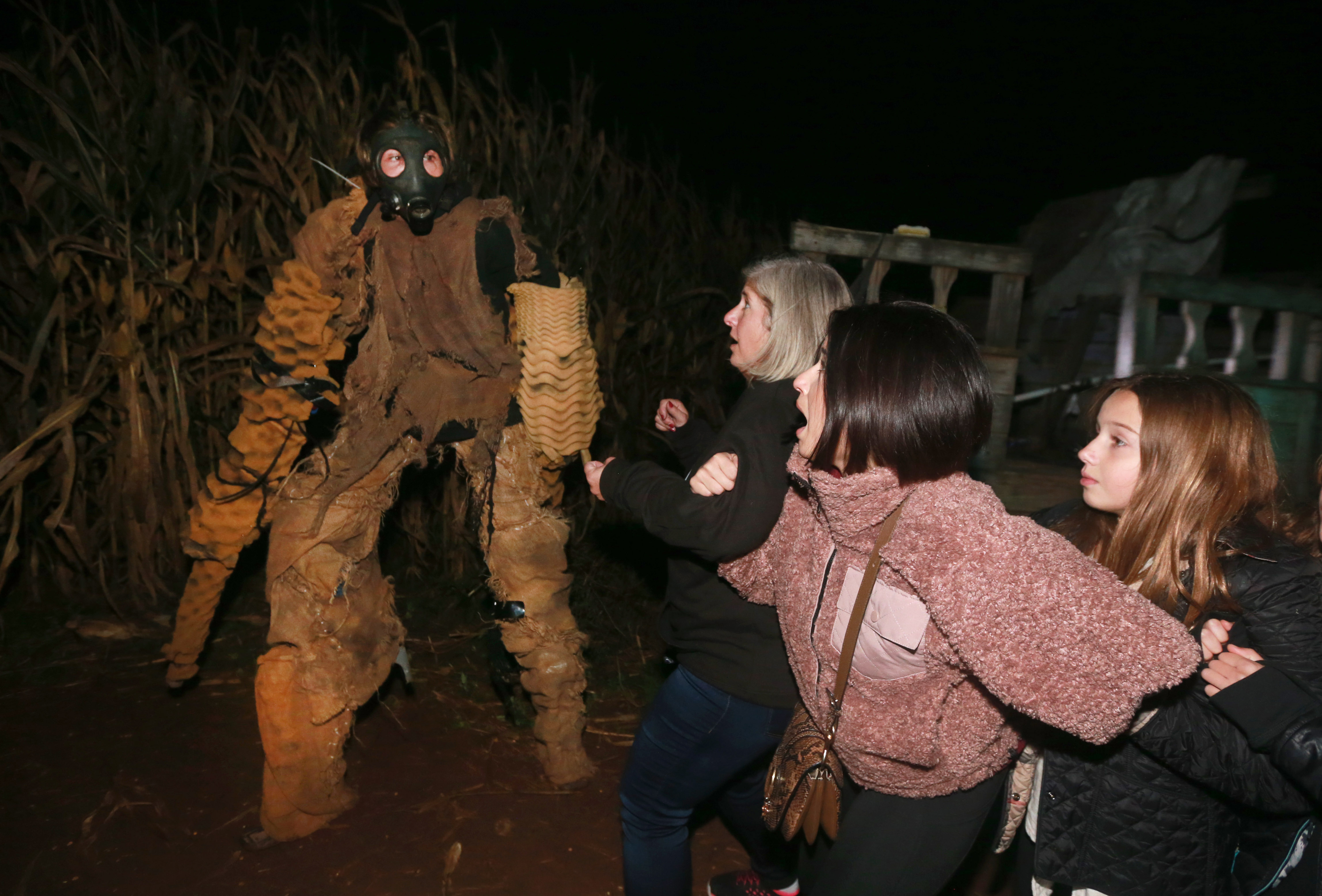Cornfields grow scares, reap fear - nj.com