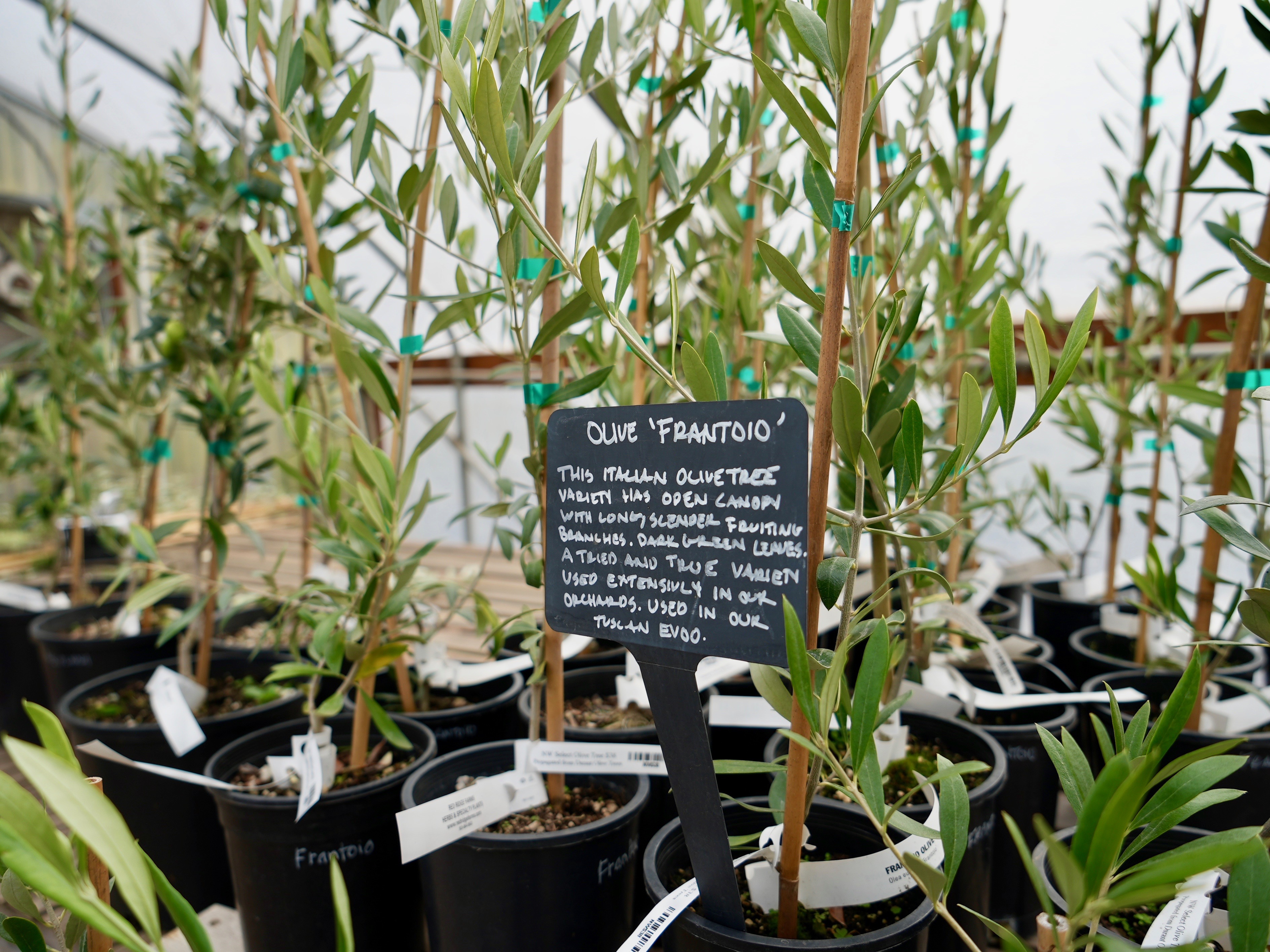 Durant Olive Mill - oregonlive.com