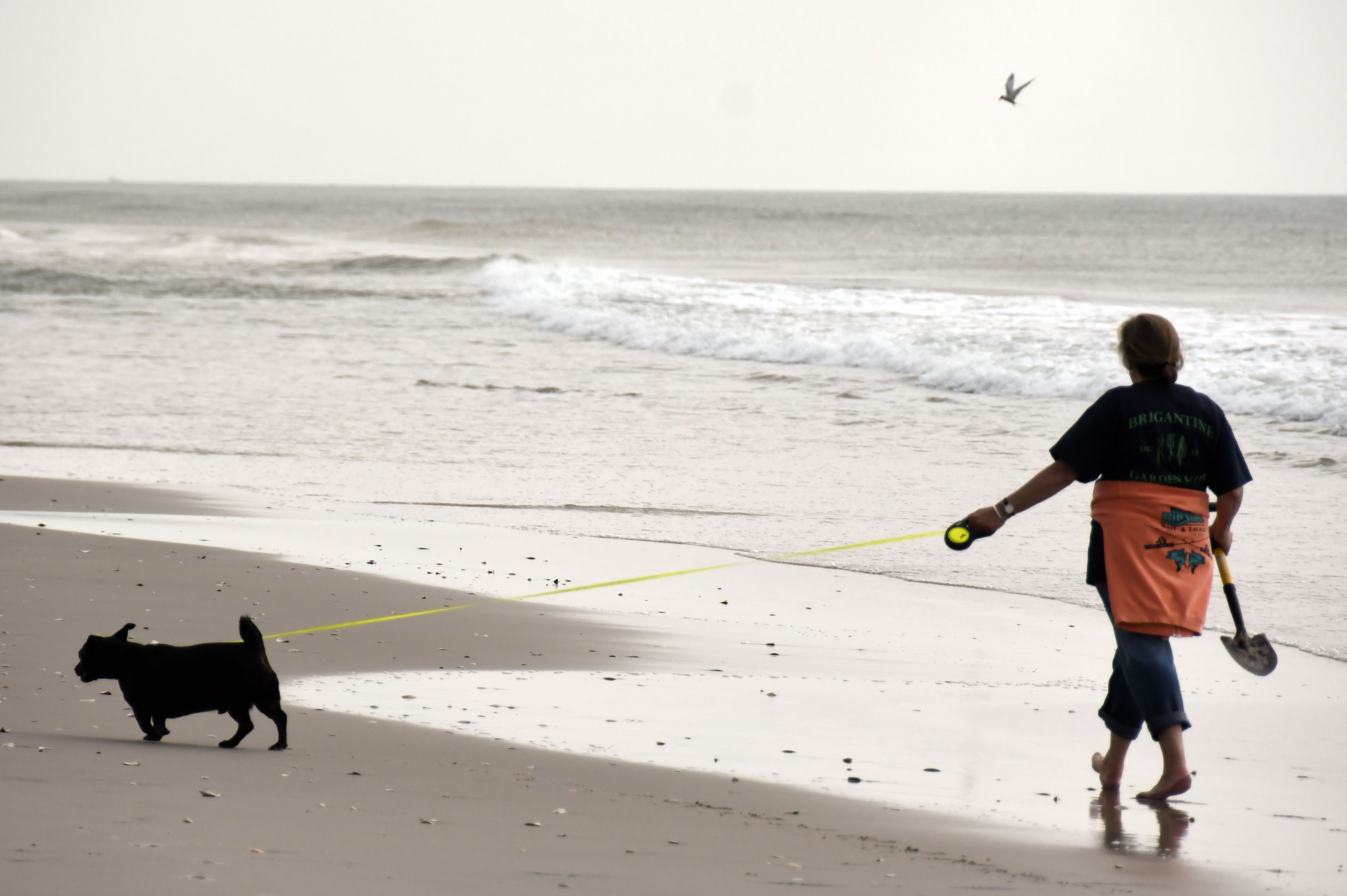 Dog-friendly Beach North beach in Brigantine - nj.com