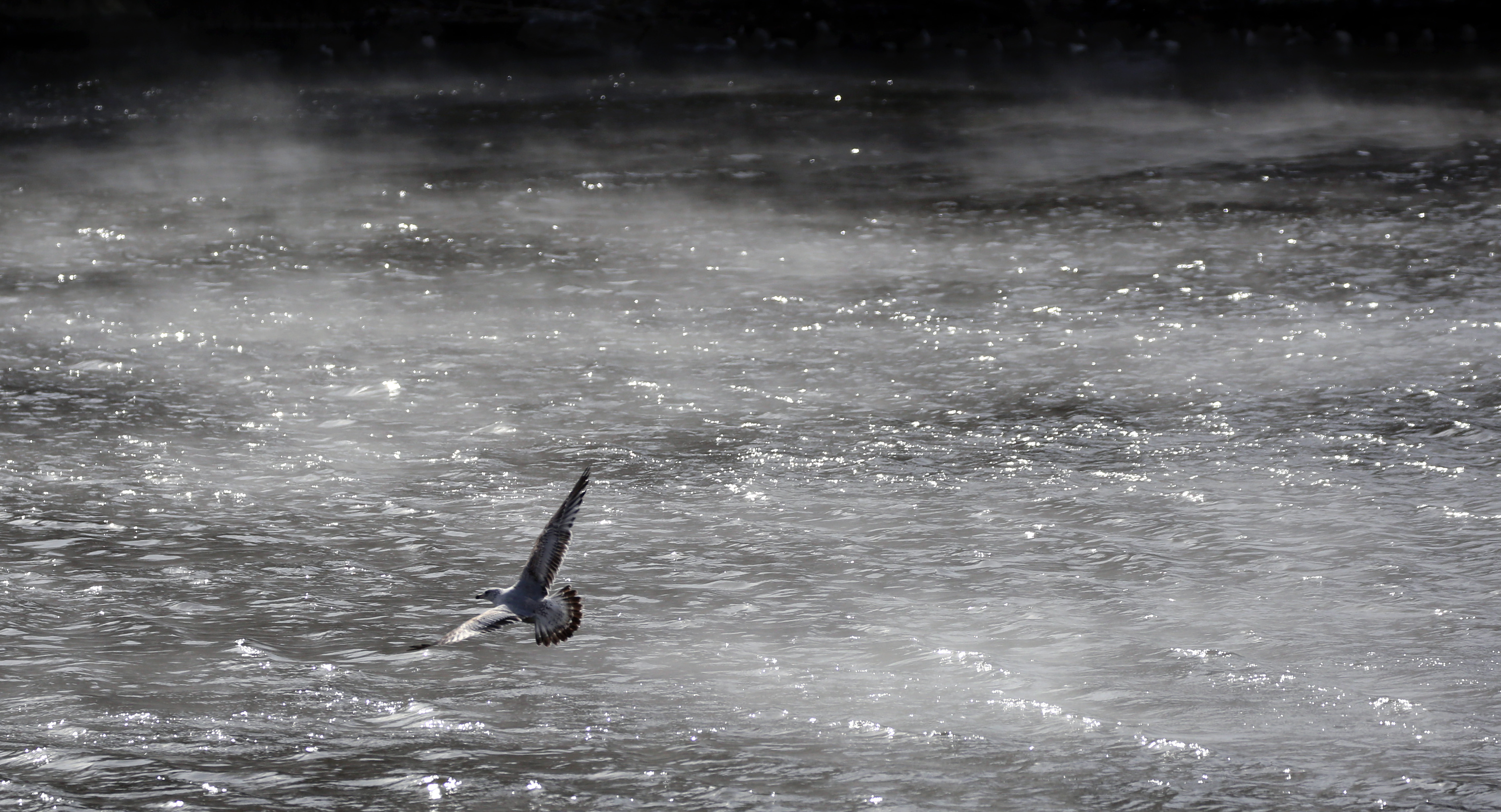 Polar Vortex hits Northeast Ohio - cleveland.com