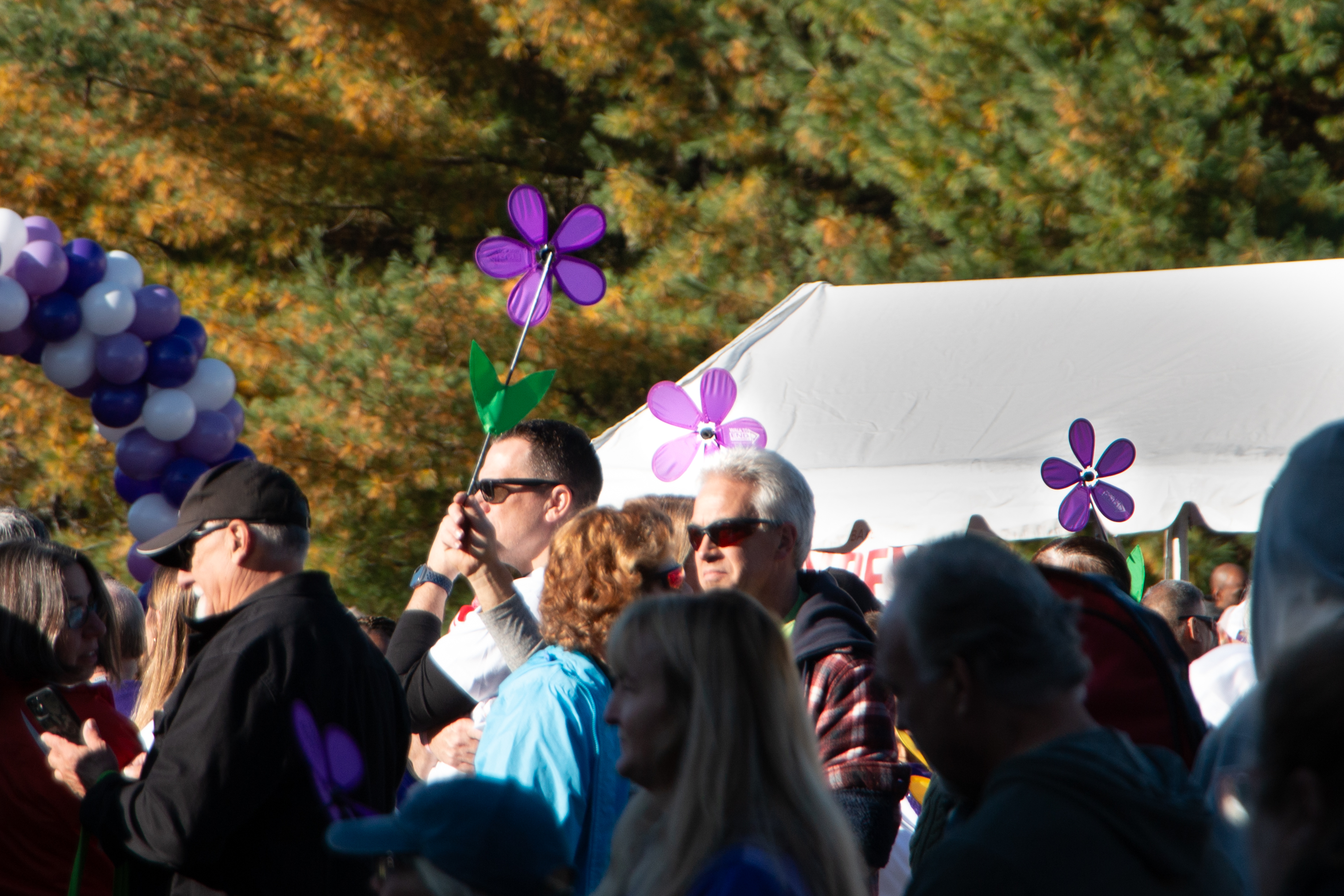 Walk to End Alzheimer's - masslive.com