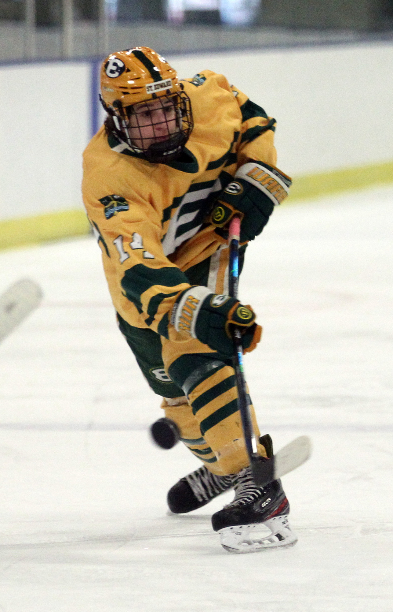 Rocky River vs St. Edward hockey playoffs - cleveland.com