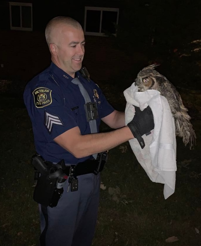 Police sergeant rescues wounded great horned owl from side of Bay ...