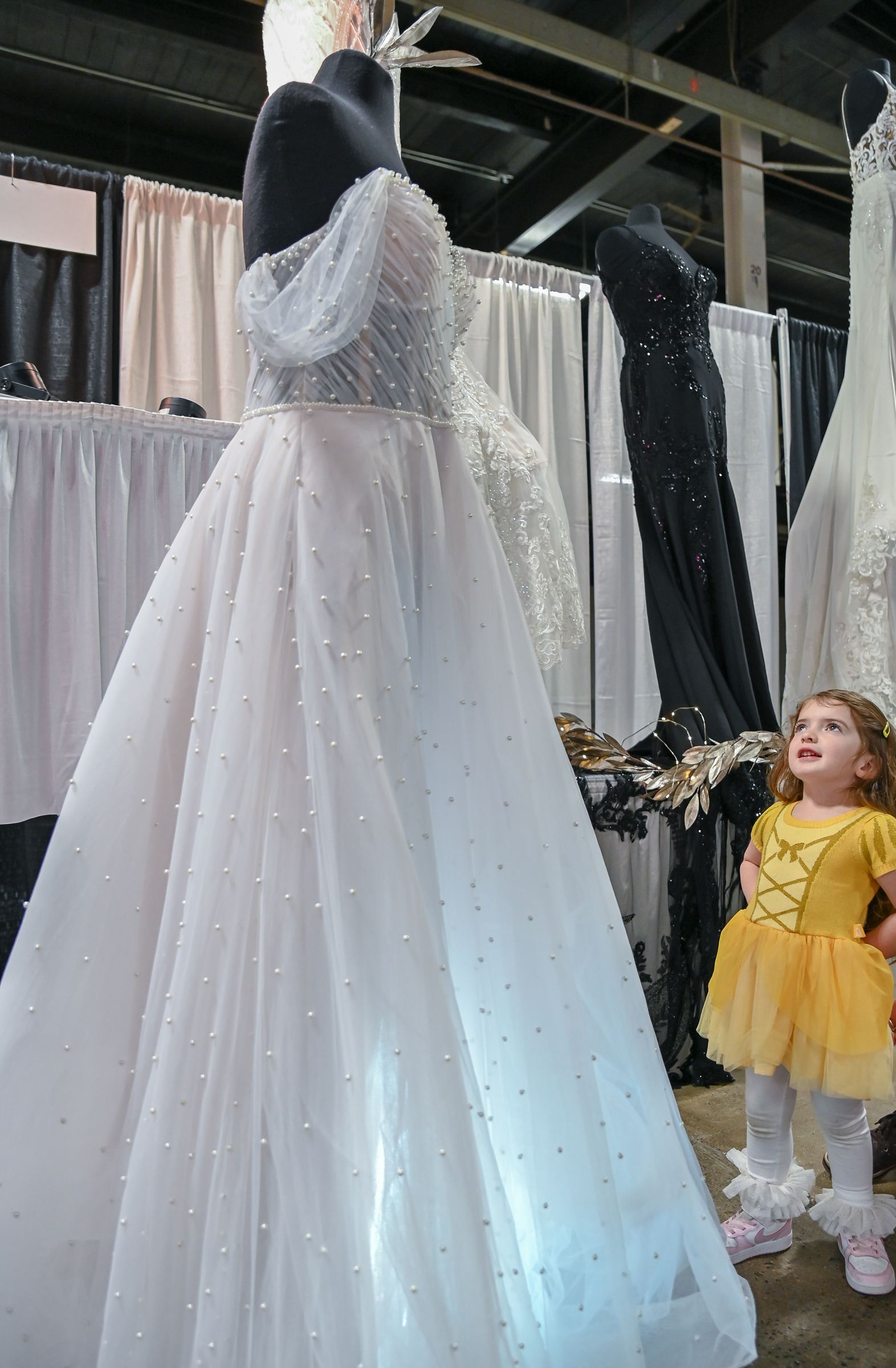 Wedding plans take shape at 2024 Springfield Wedding & Bridal Exp ...