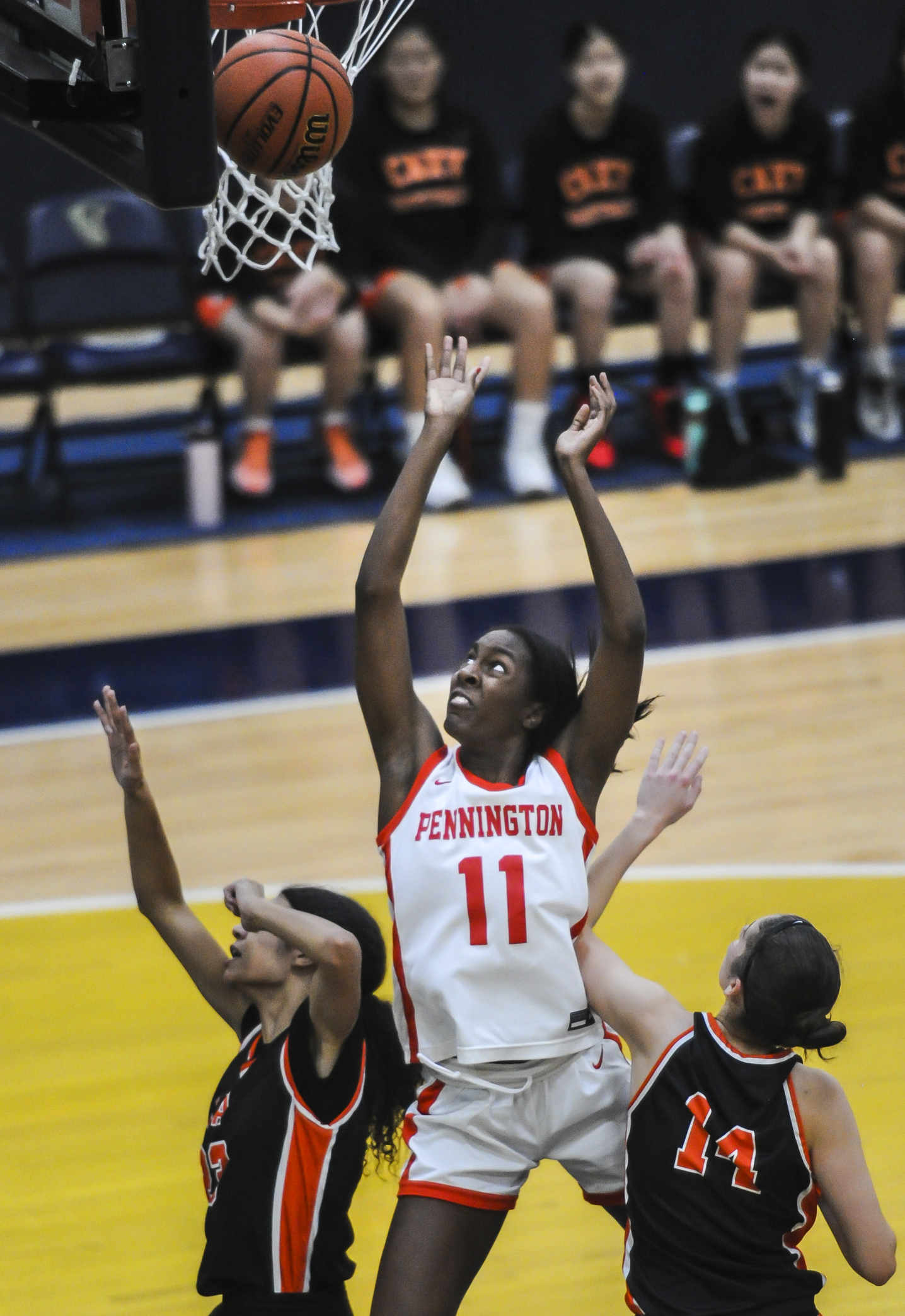 Lake Forest vs. Pennington Girls Basketball - nj.com