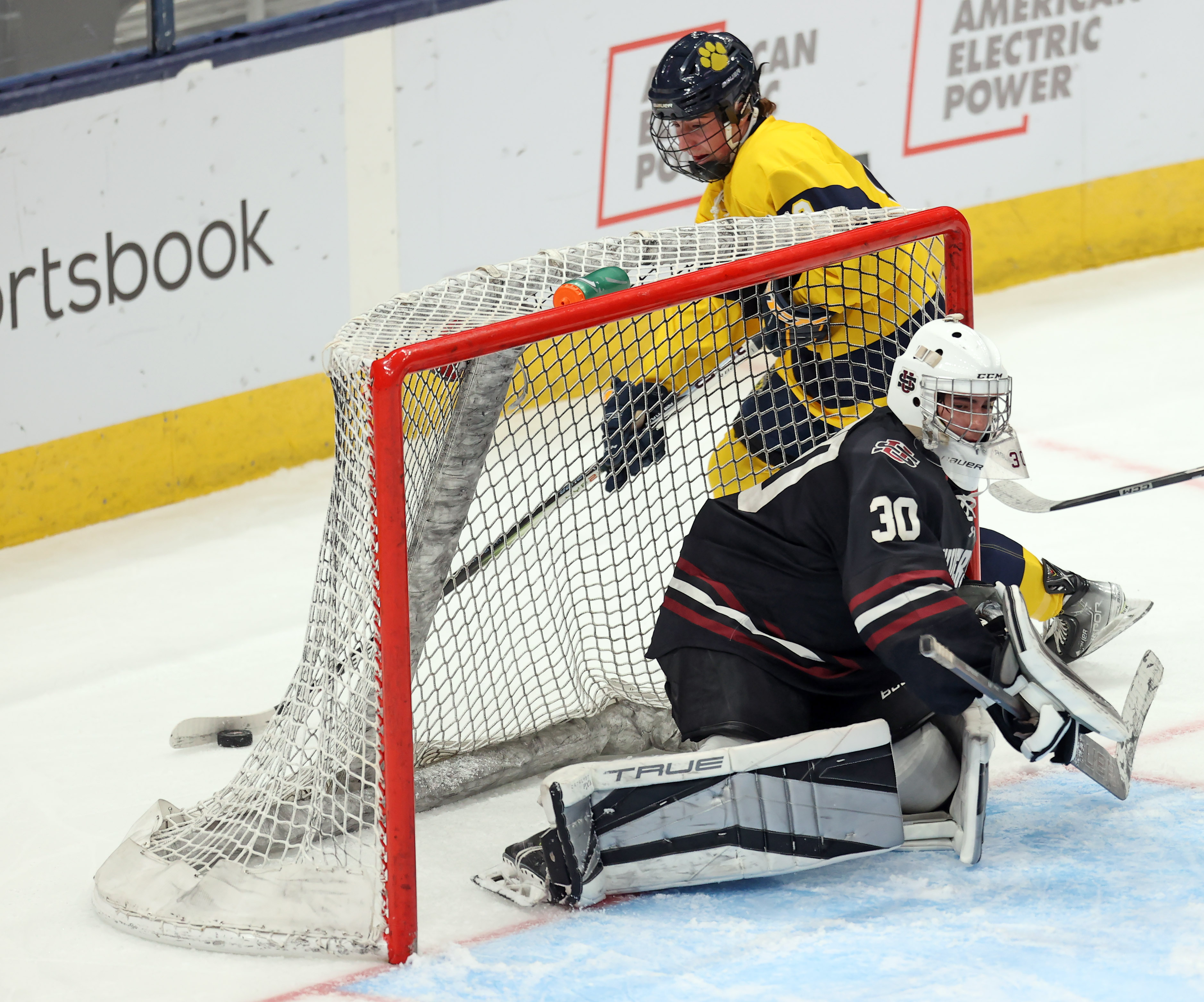 OHSAA state hockey championship: St. Ignatius vs. University School ...