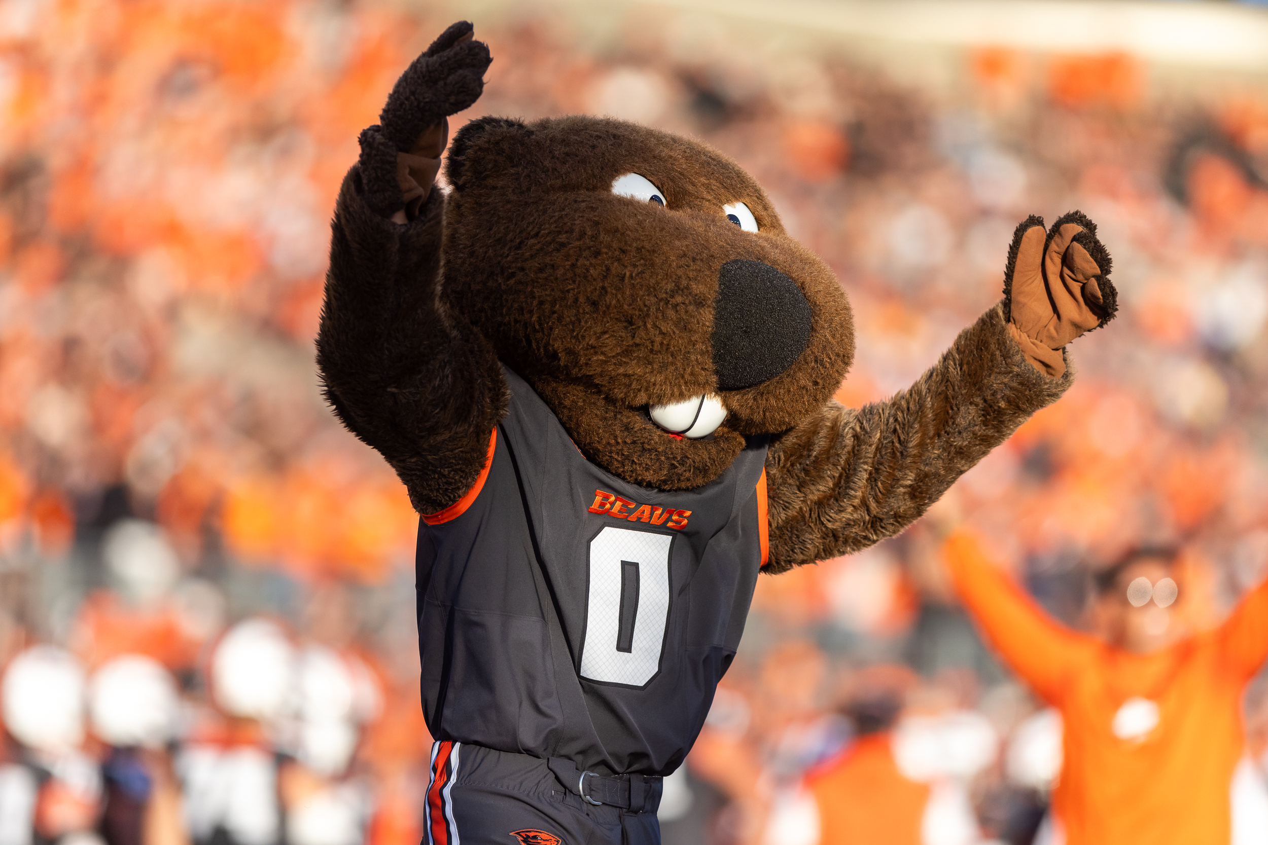 Oregon State Beavers vs. Purdue Boilermakers: Sept. 21, 2024 ...